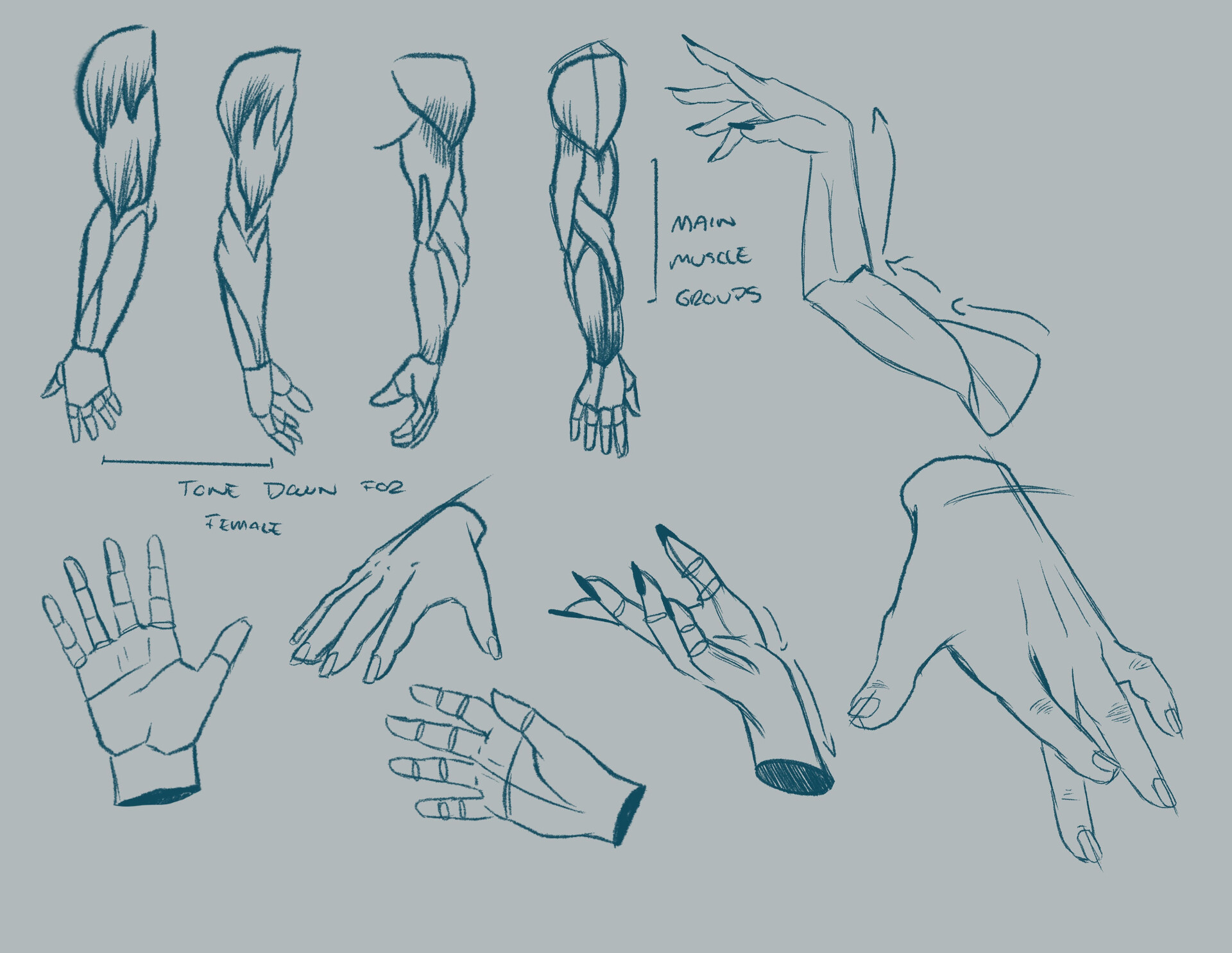 Female Arm Drawing