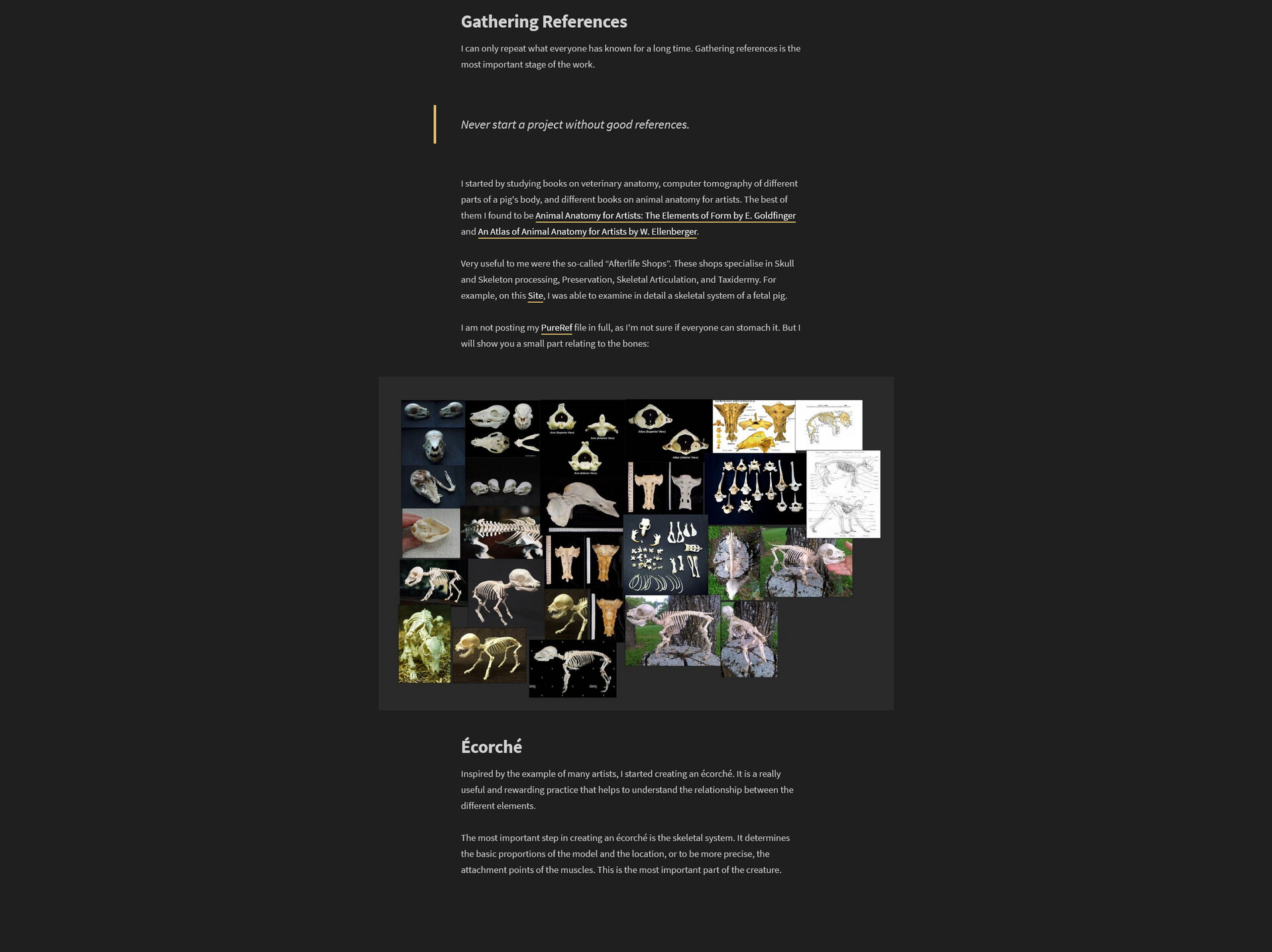 Zoé Brening - The Rookies Article - 3D Character Modeling and Mastering ...