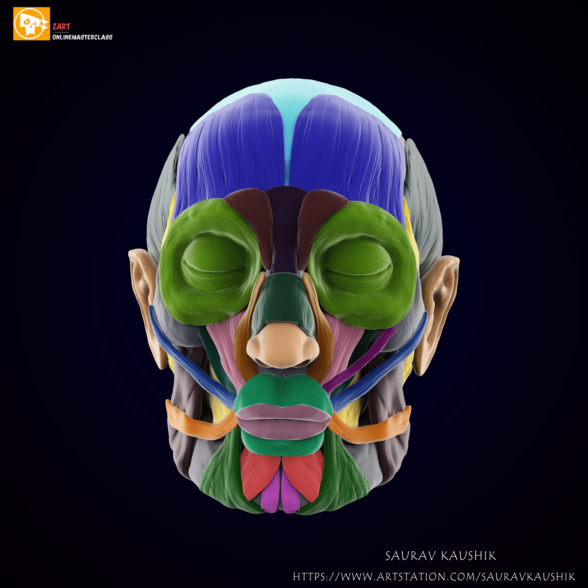 ArtStation - face muscles