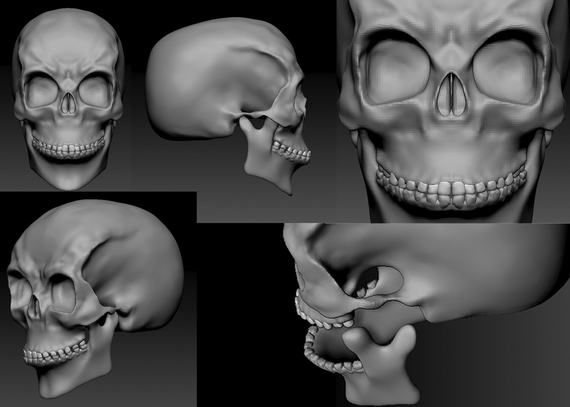 ArtStation - First skull model