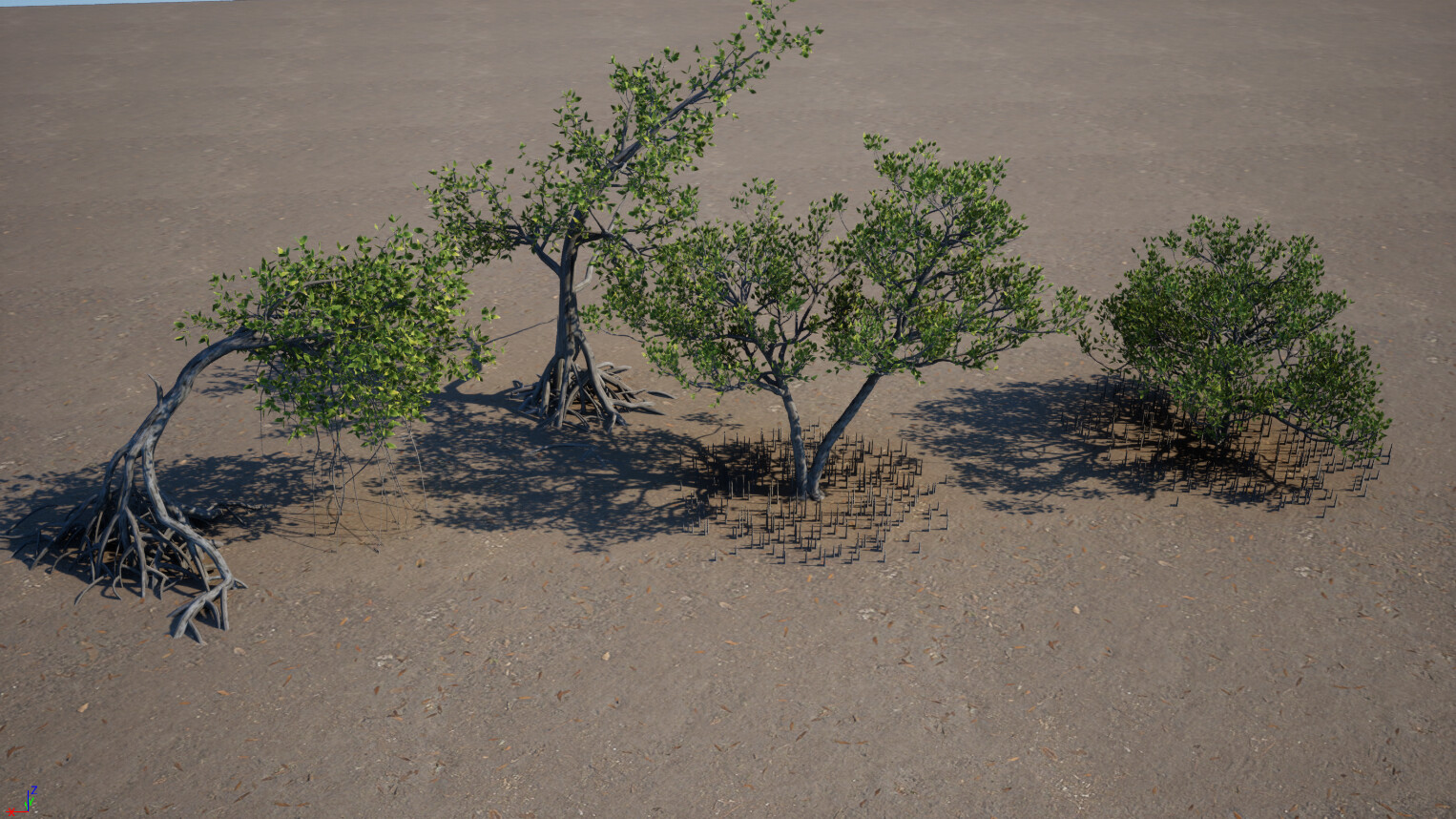 ArtStation - Black Mangrove models
