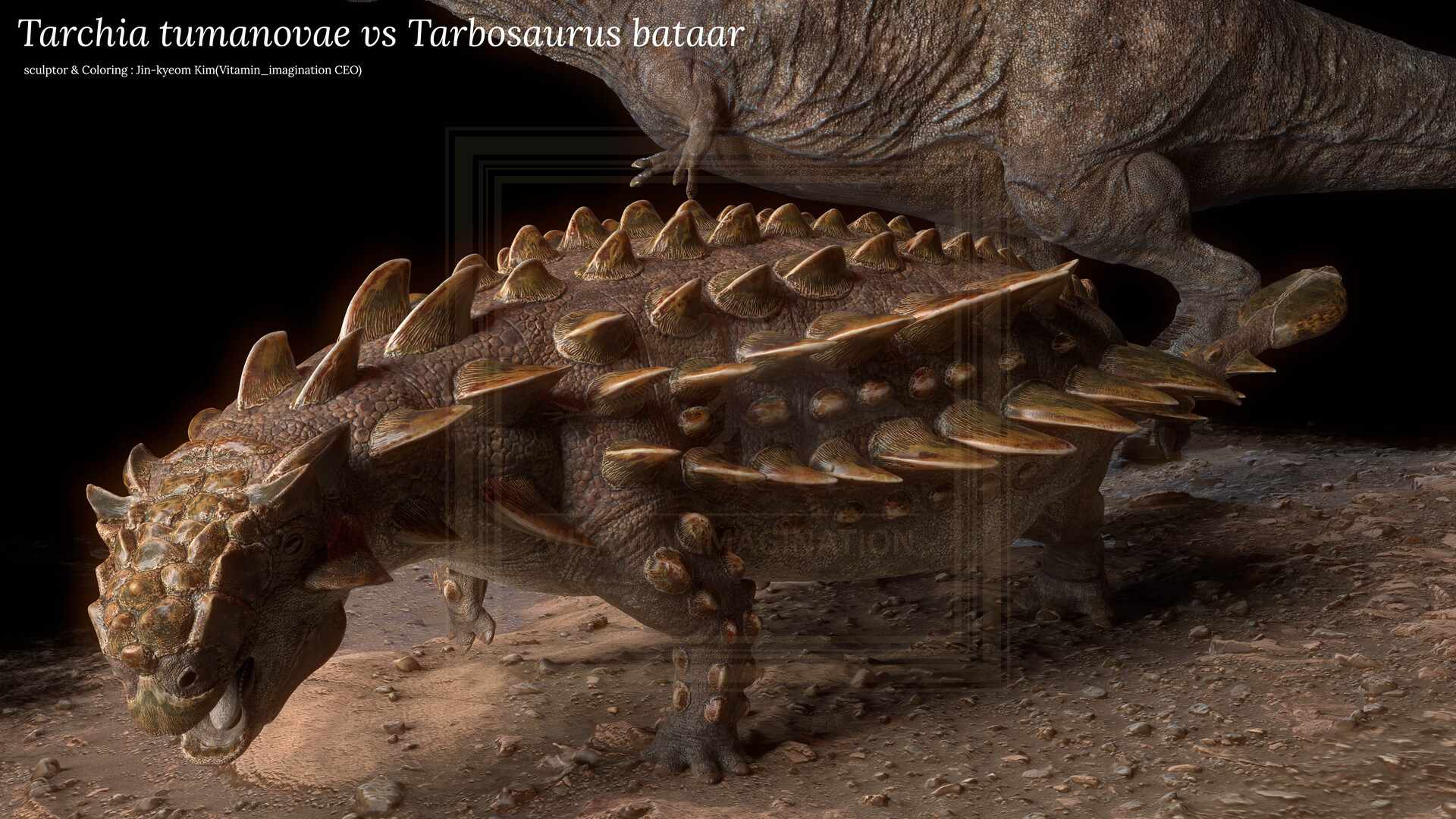 Vitamin Imagination - 타르키아 투마노바에 (Tarchia tumanovae)