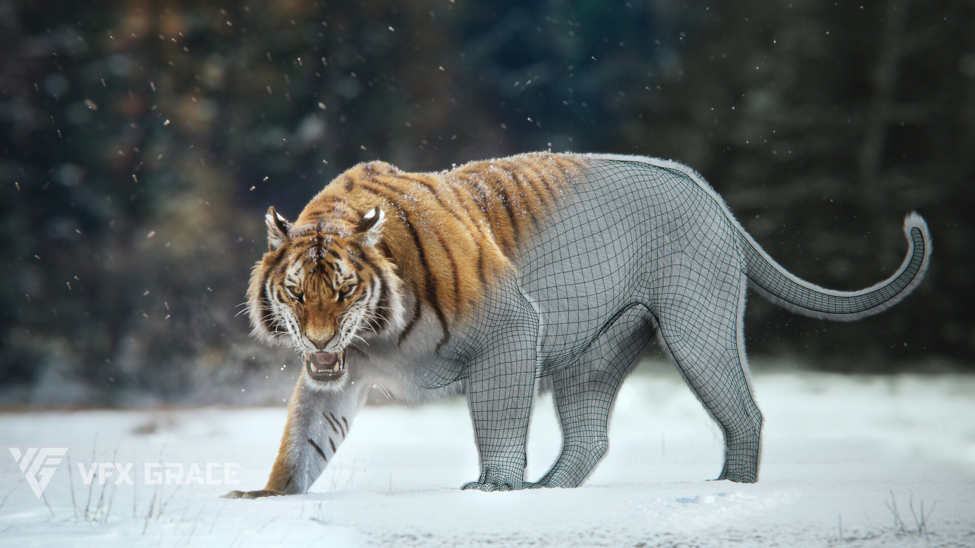 VFX models - Siberian Tiger