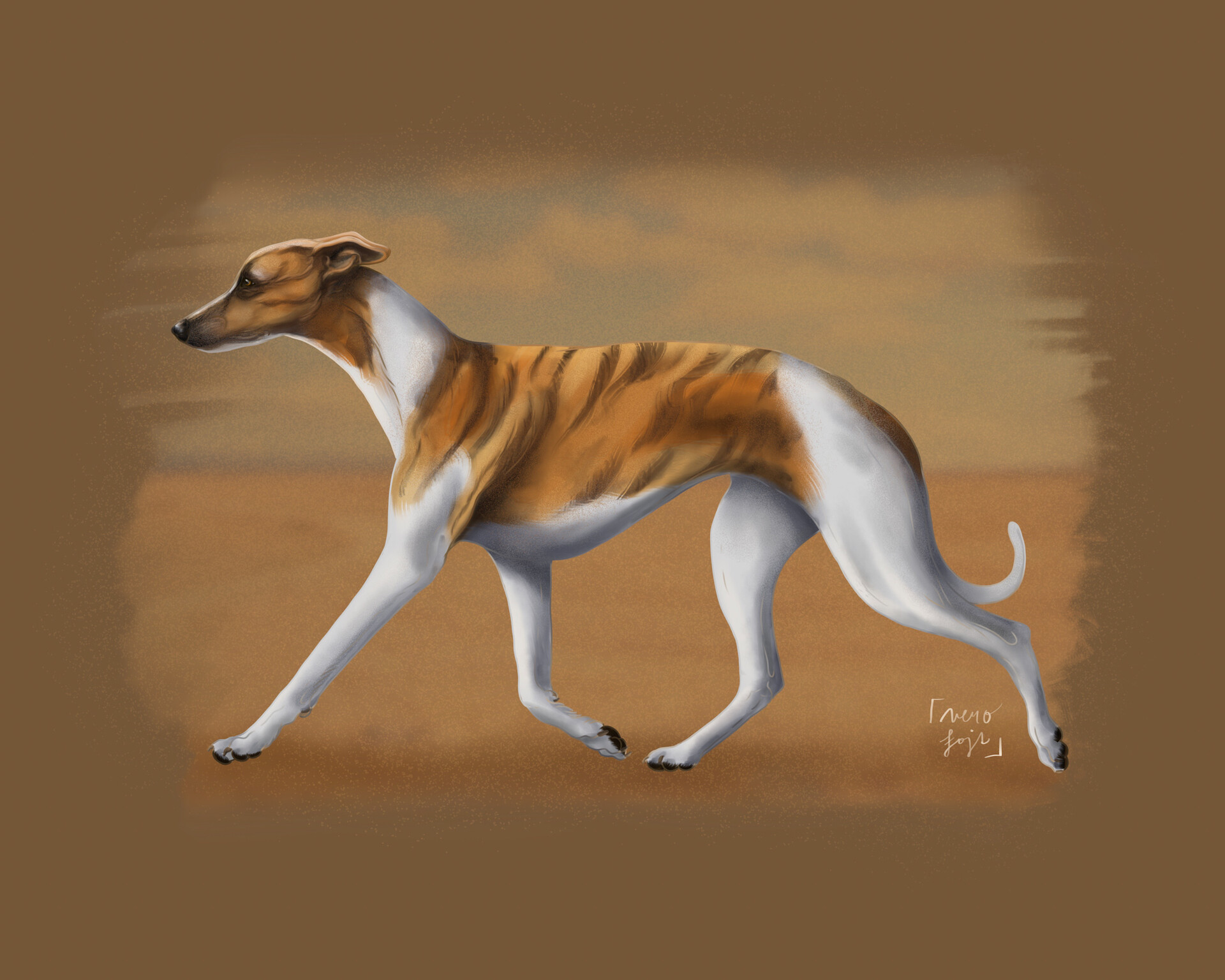 ArtStation - Whippet