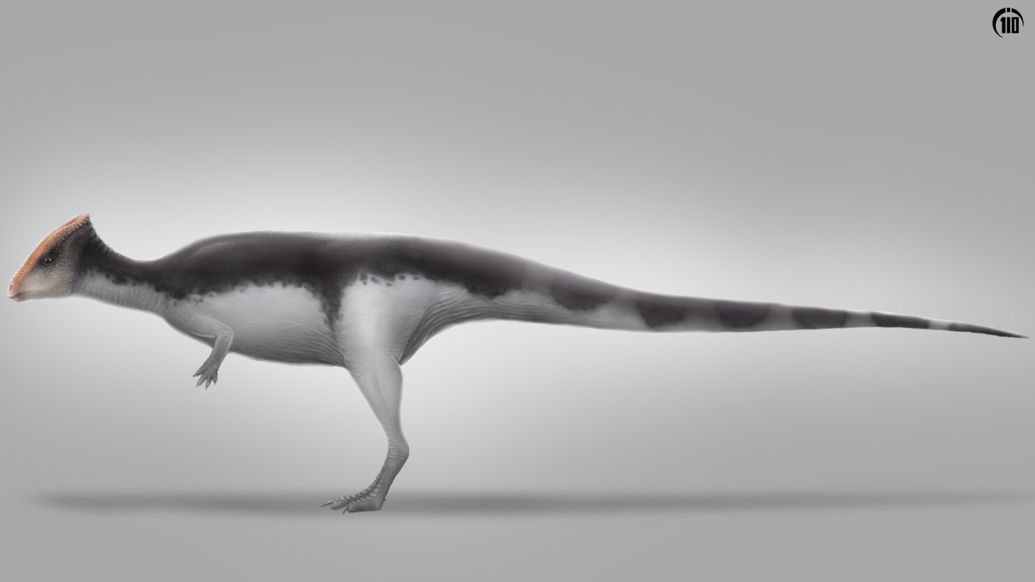 Jurassic Park Operation Genesis Homalocephale