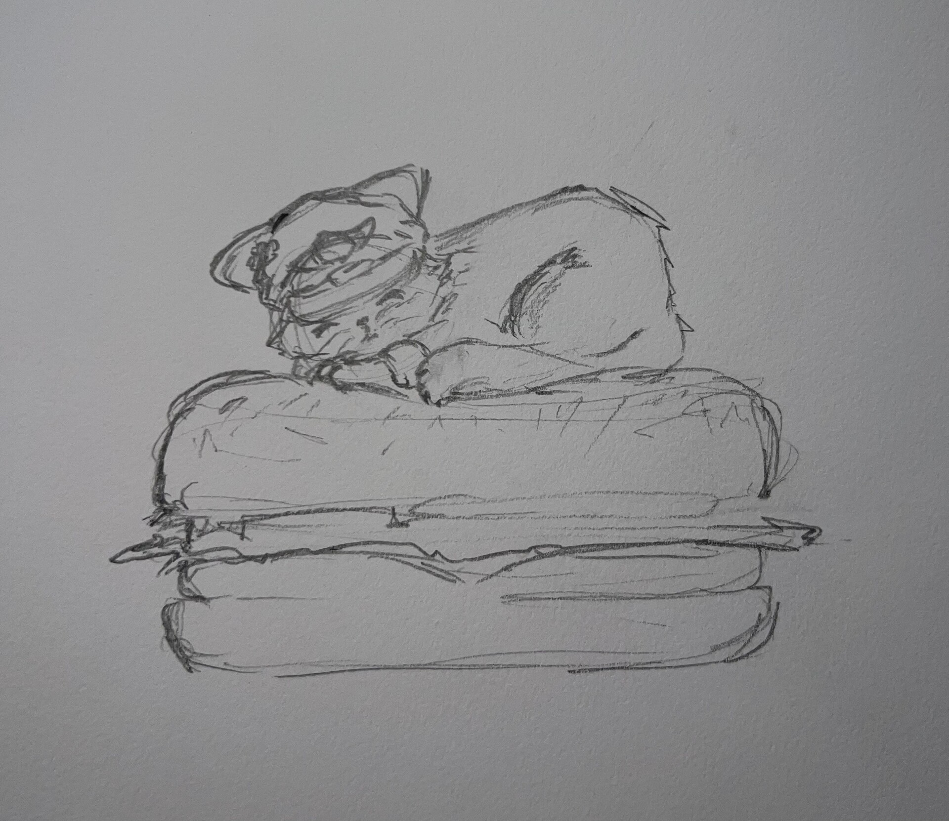 Alex Richman - Ramlethal Cat on a Burger