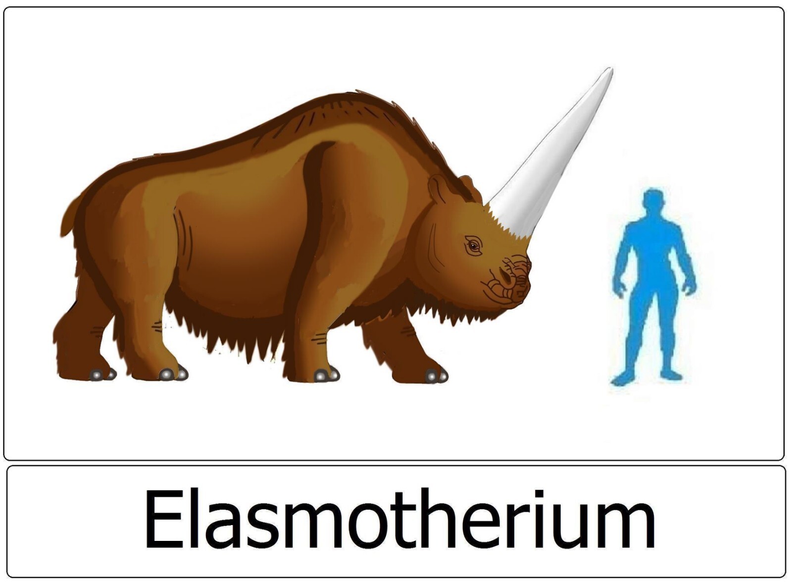 ArtStation - Elasmotherium