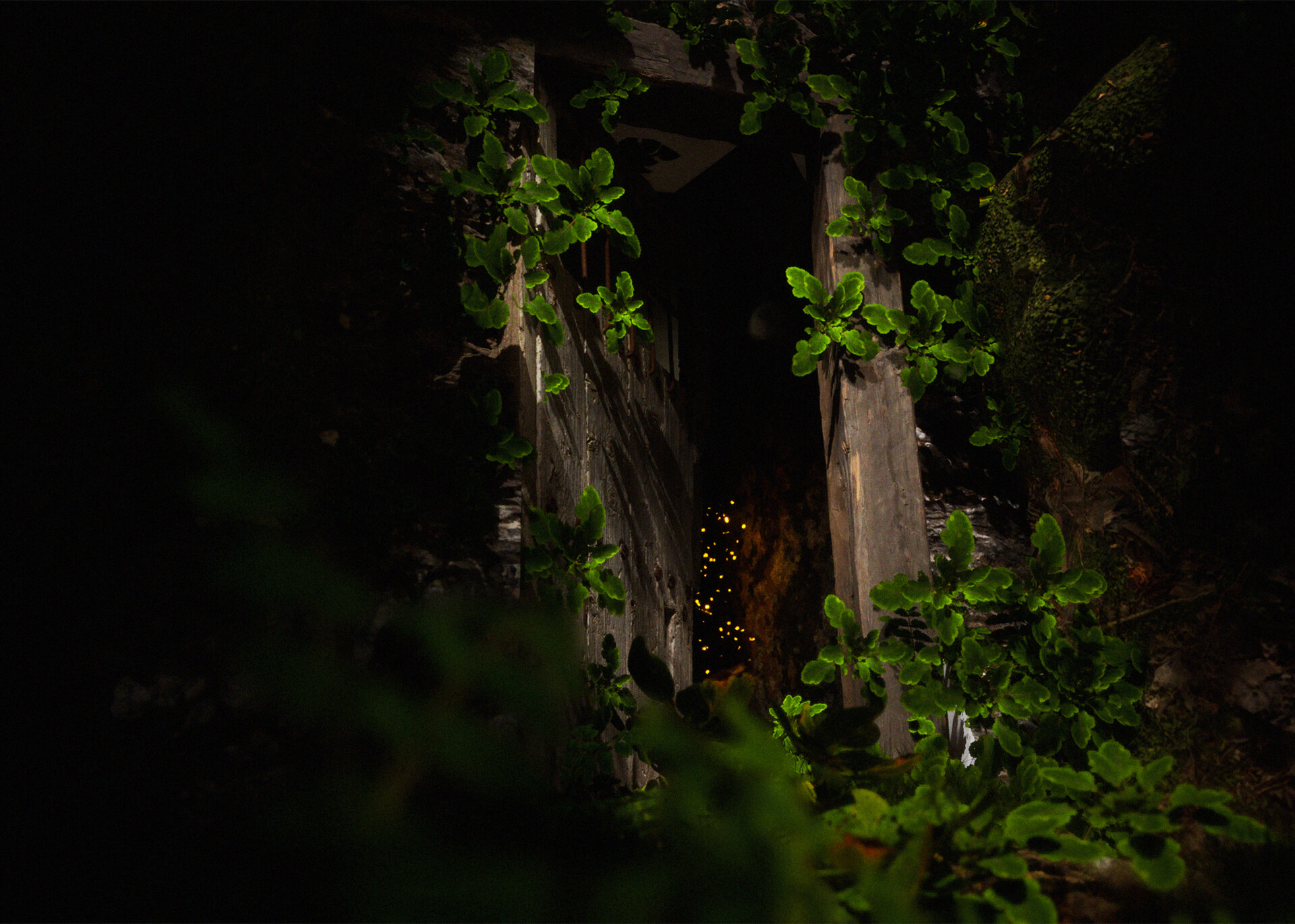 Justin Adams - Overgrown