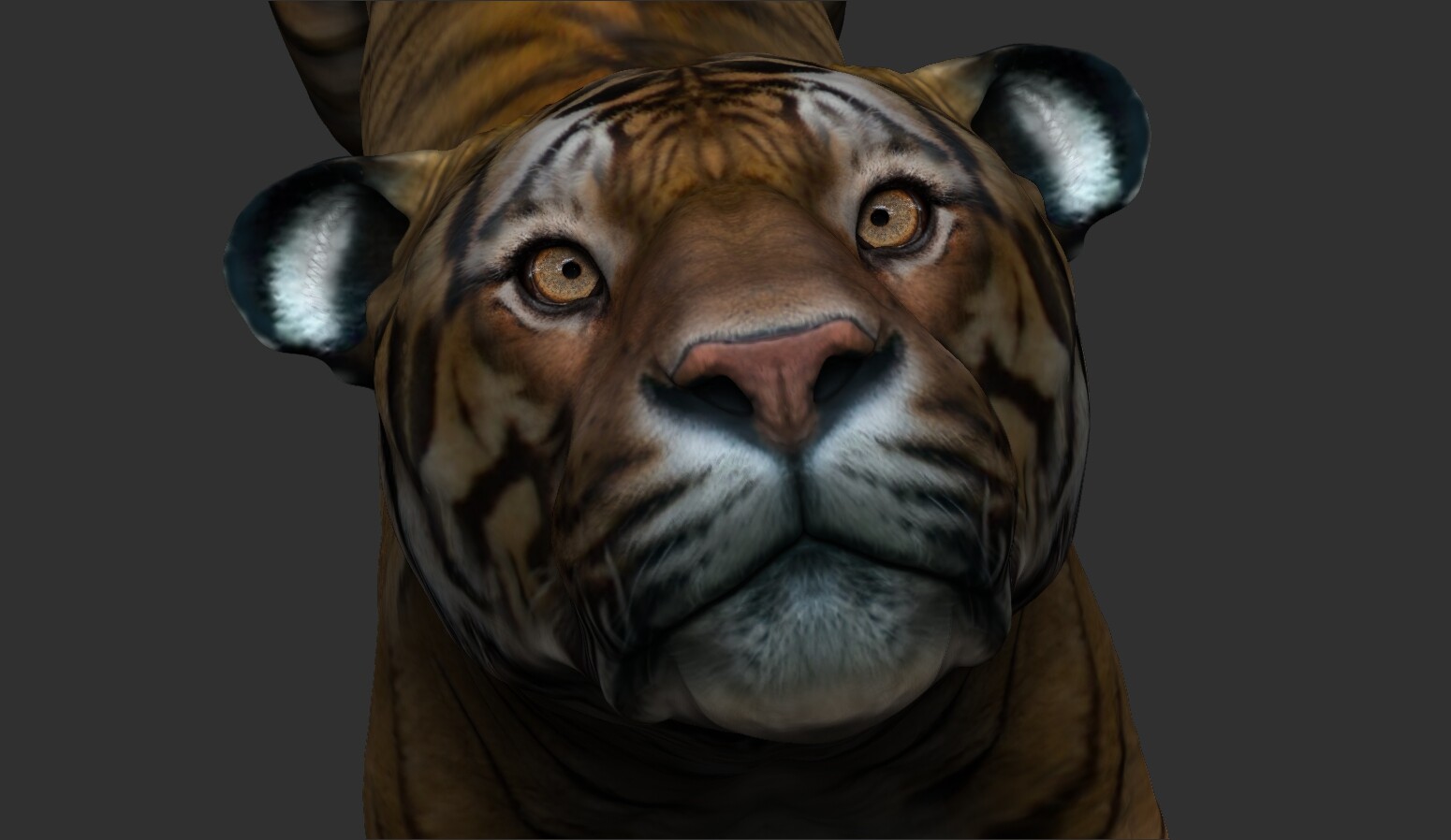 Nofu - Early Tiger Wip projekt