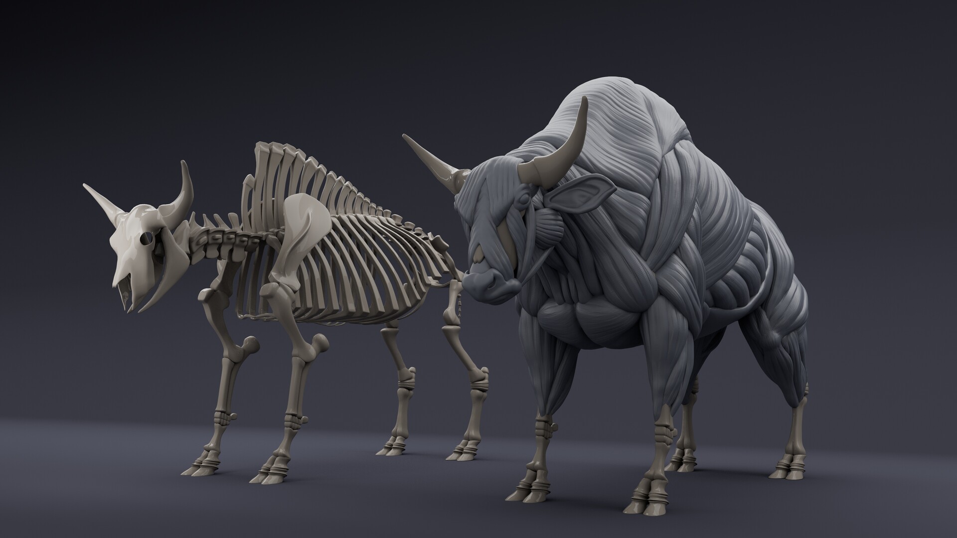 ArtStation - Bison anatomy