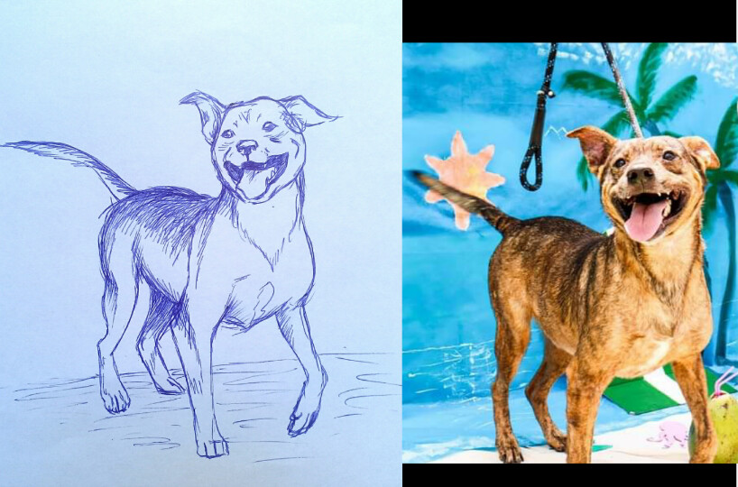 ArtStation - dog smile drawing.
