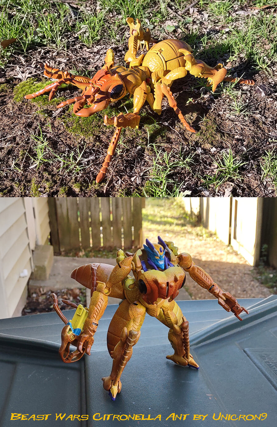 TJ Wilferd - Bunch of Critter and Creature Custom Beast Wars Figures