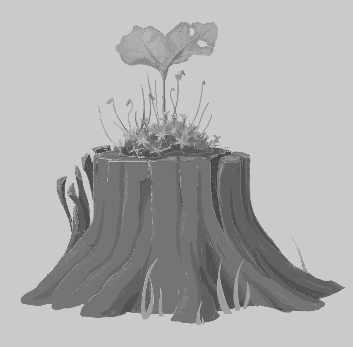 ArtStation - Forest Prop study