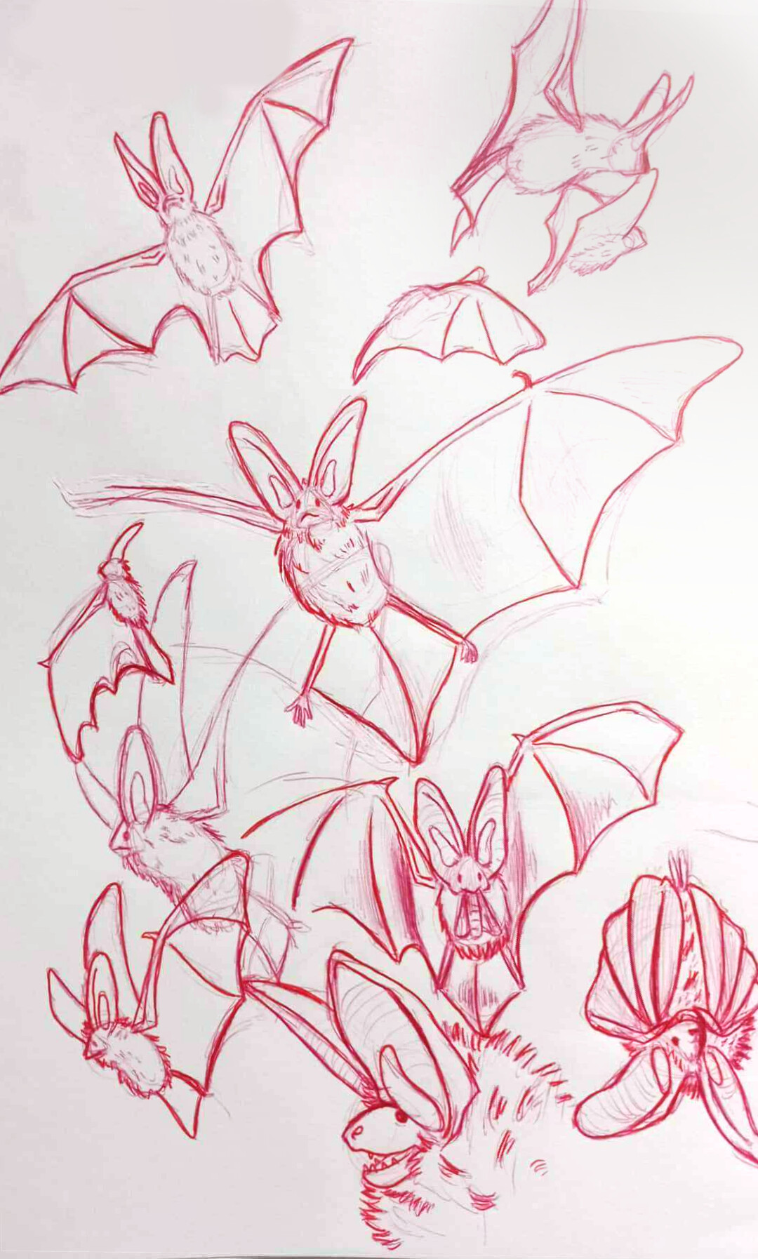 ArtStation - Bat Studies