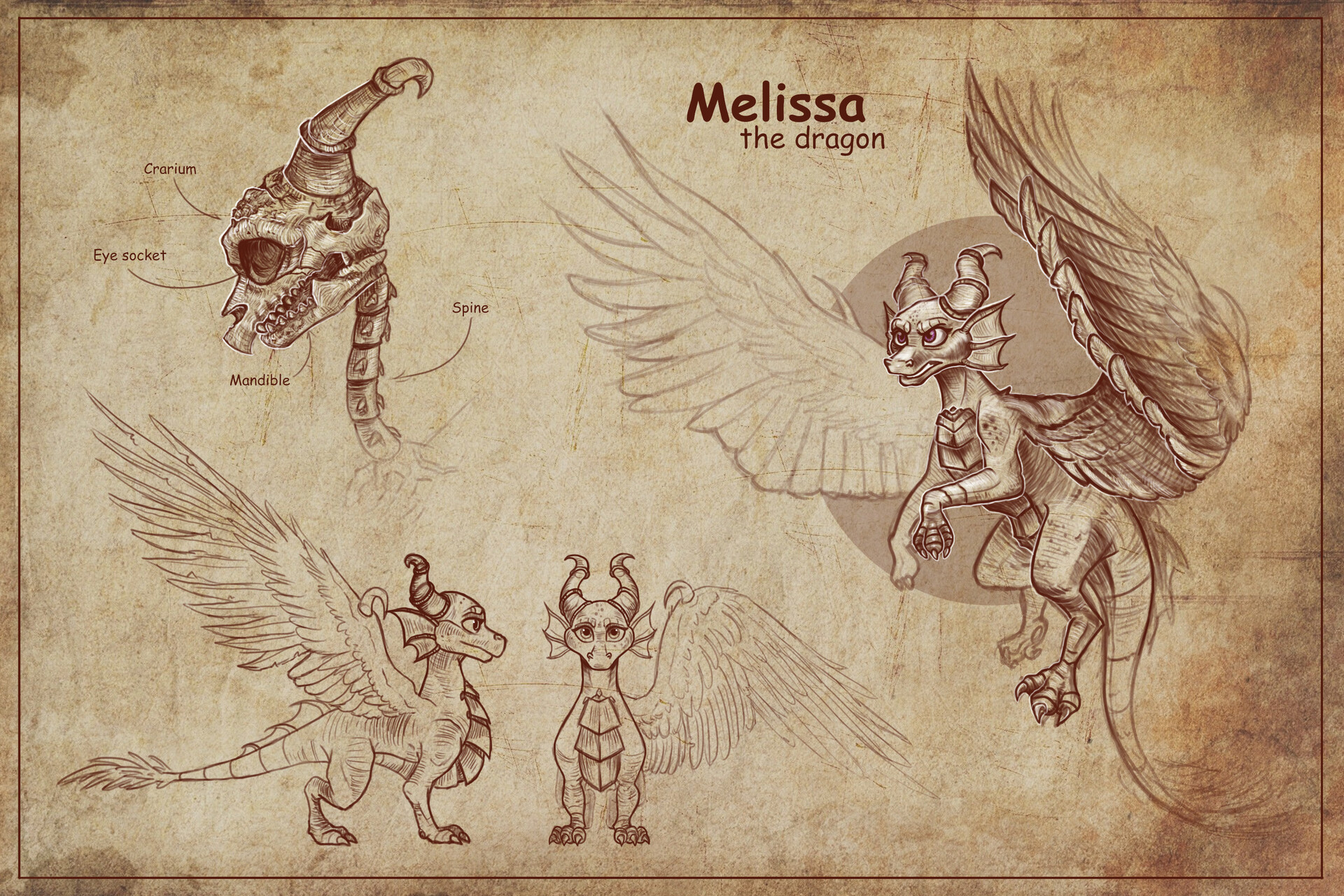 ArtStation - Concept Art: Melissa the Dragon