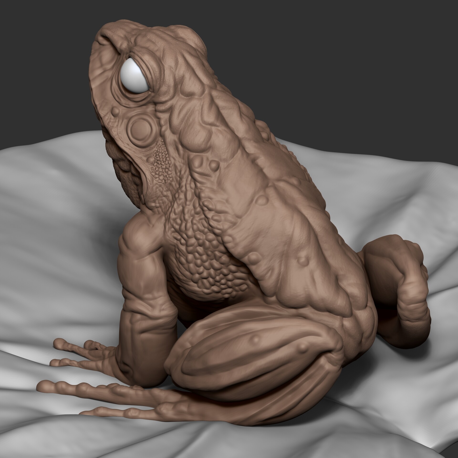 ArtStation - Frog_Update