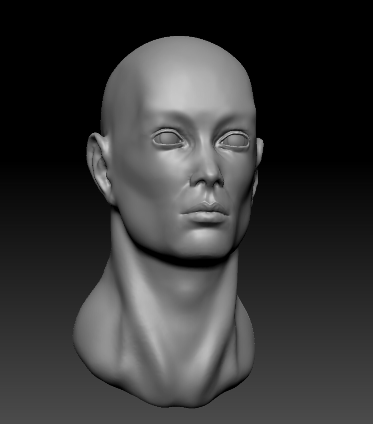 ArtStation - Male Female Face Topology Study