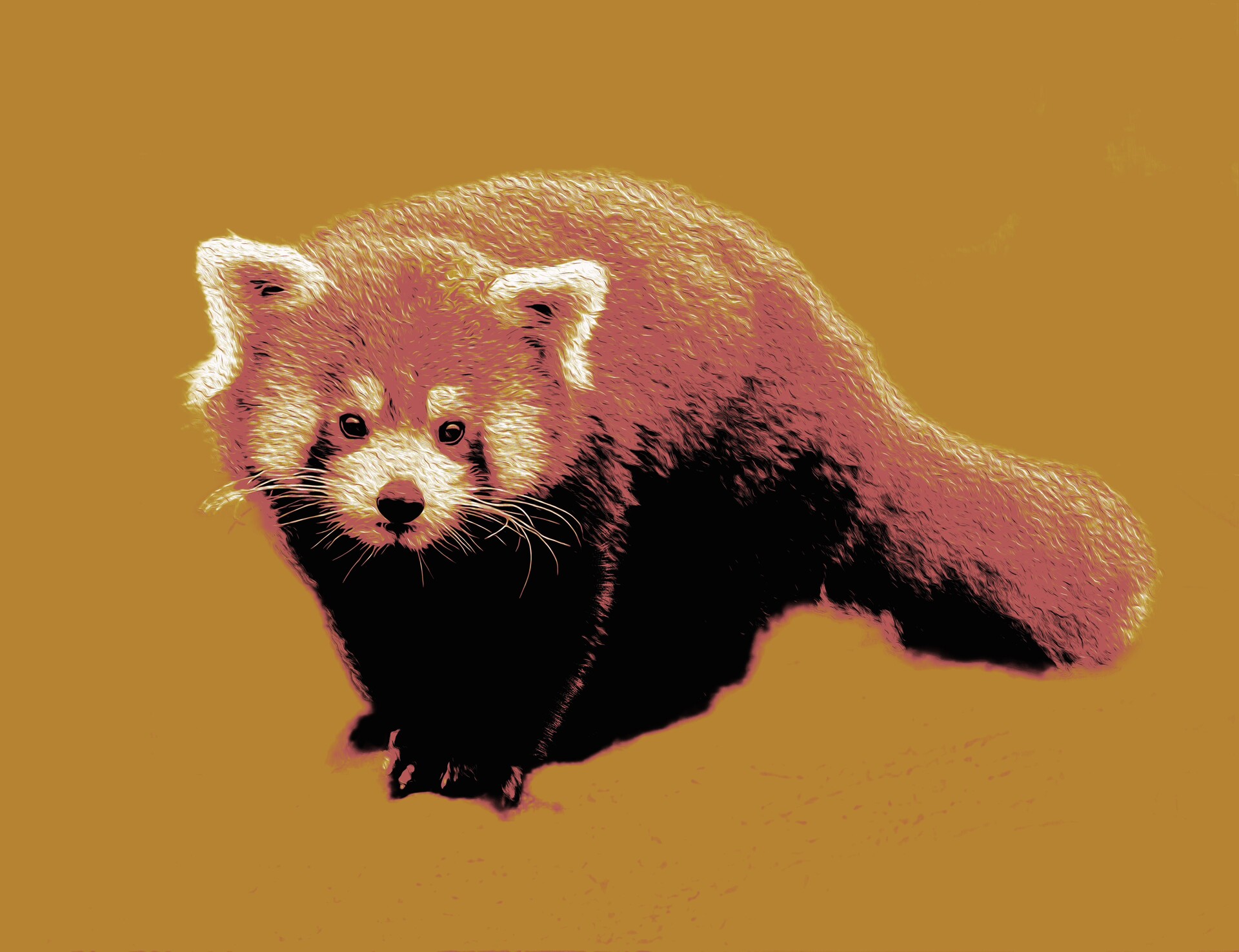 ArtStation - Teste Panda Vermelho