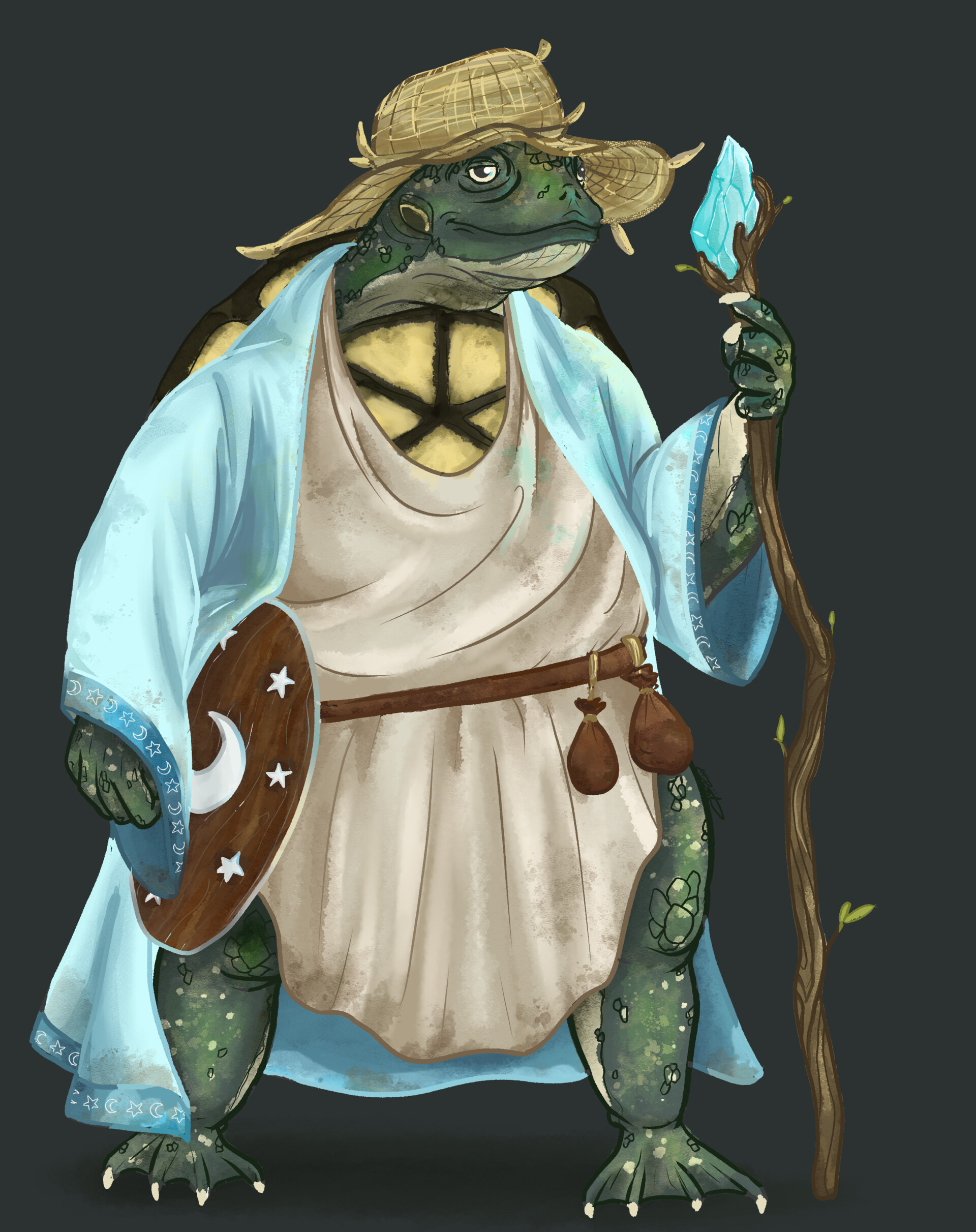 Vale Tadman - Tortle Druid Character Commission
