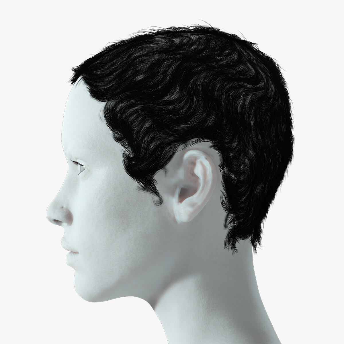 ArtStation - Realistic Female hair afro Low-poly