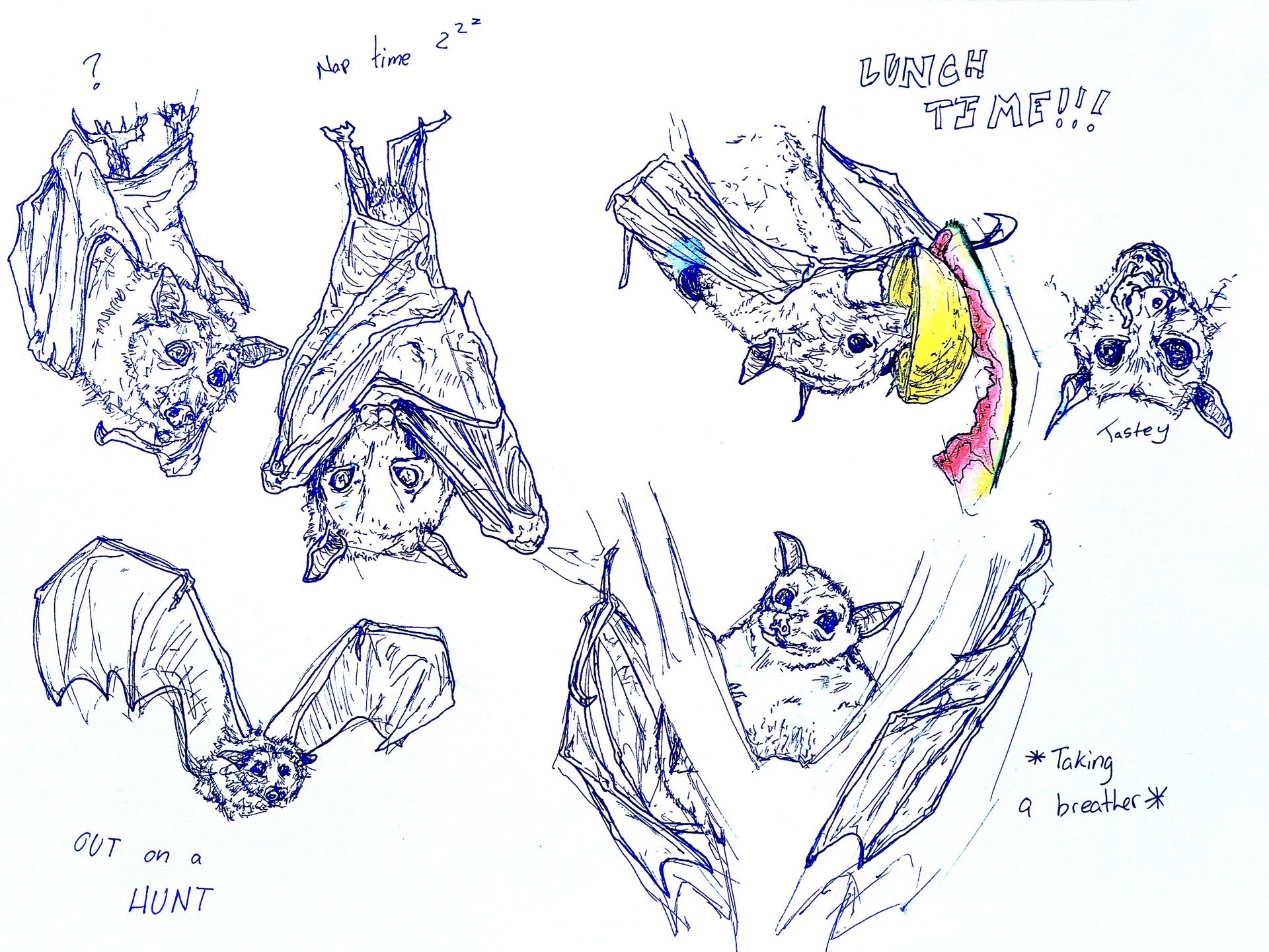 ArtStation - Fruit Bat Study