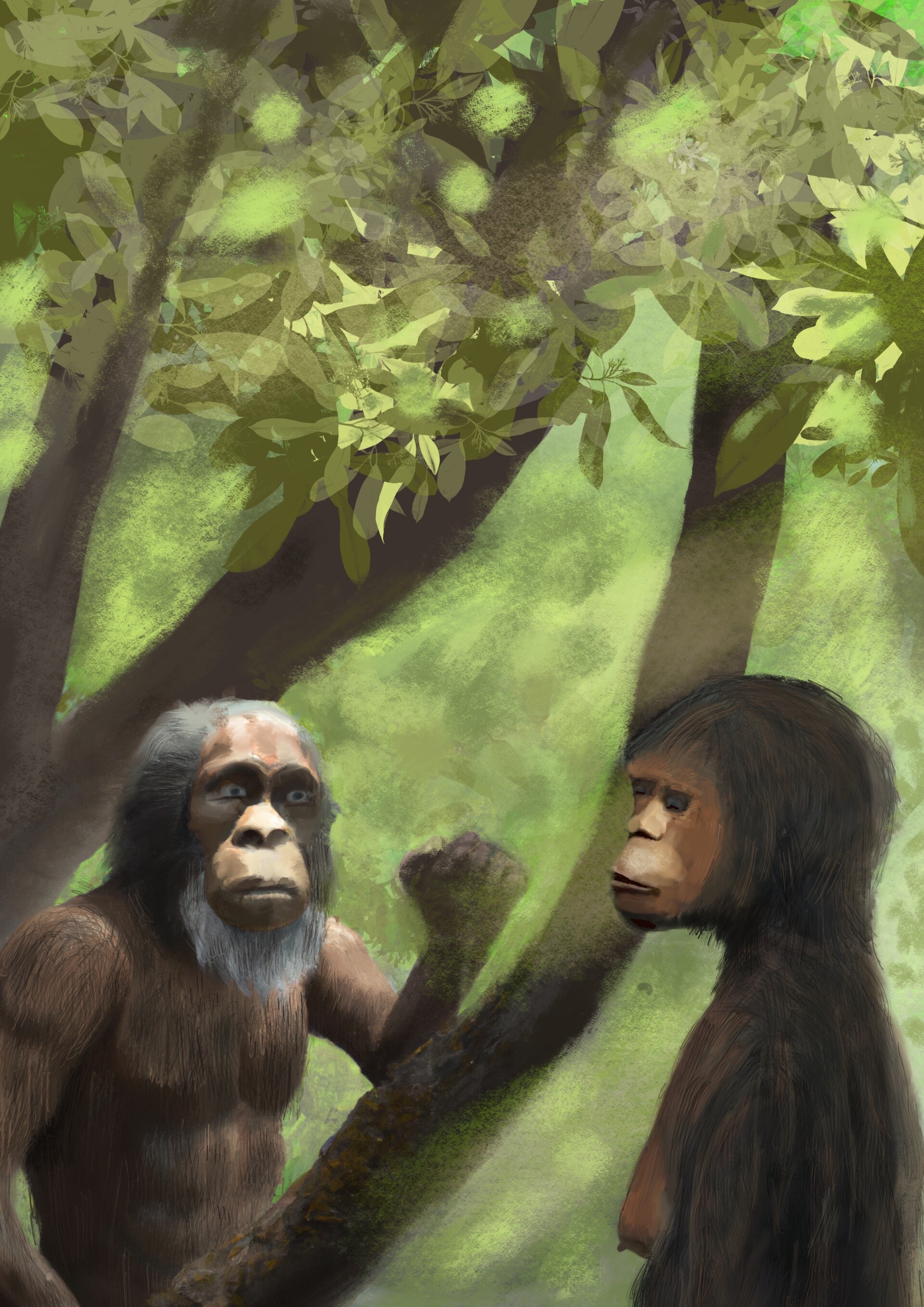 ArtStation - Australopithecus