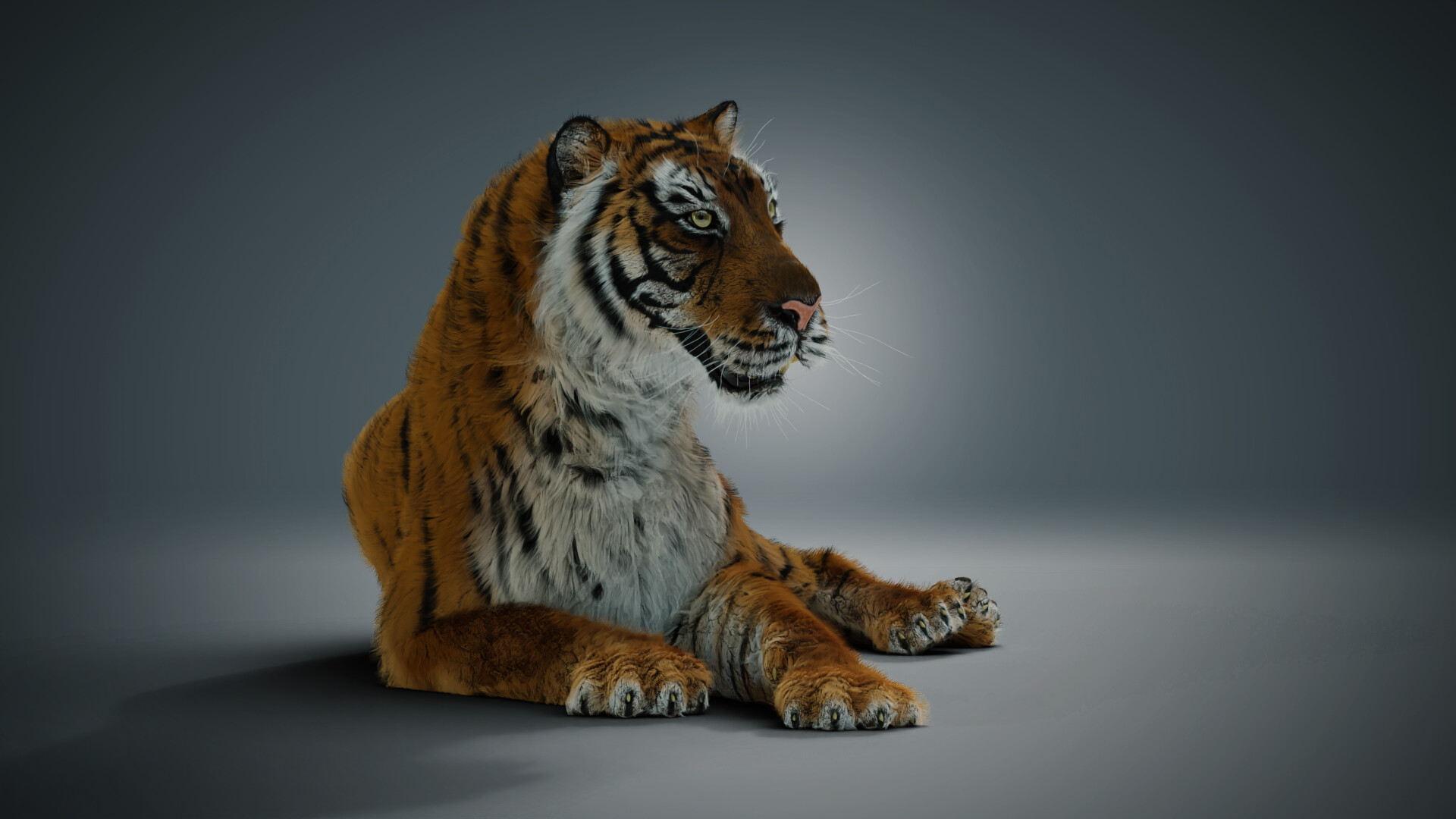 ArtStation - Tiger