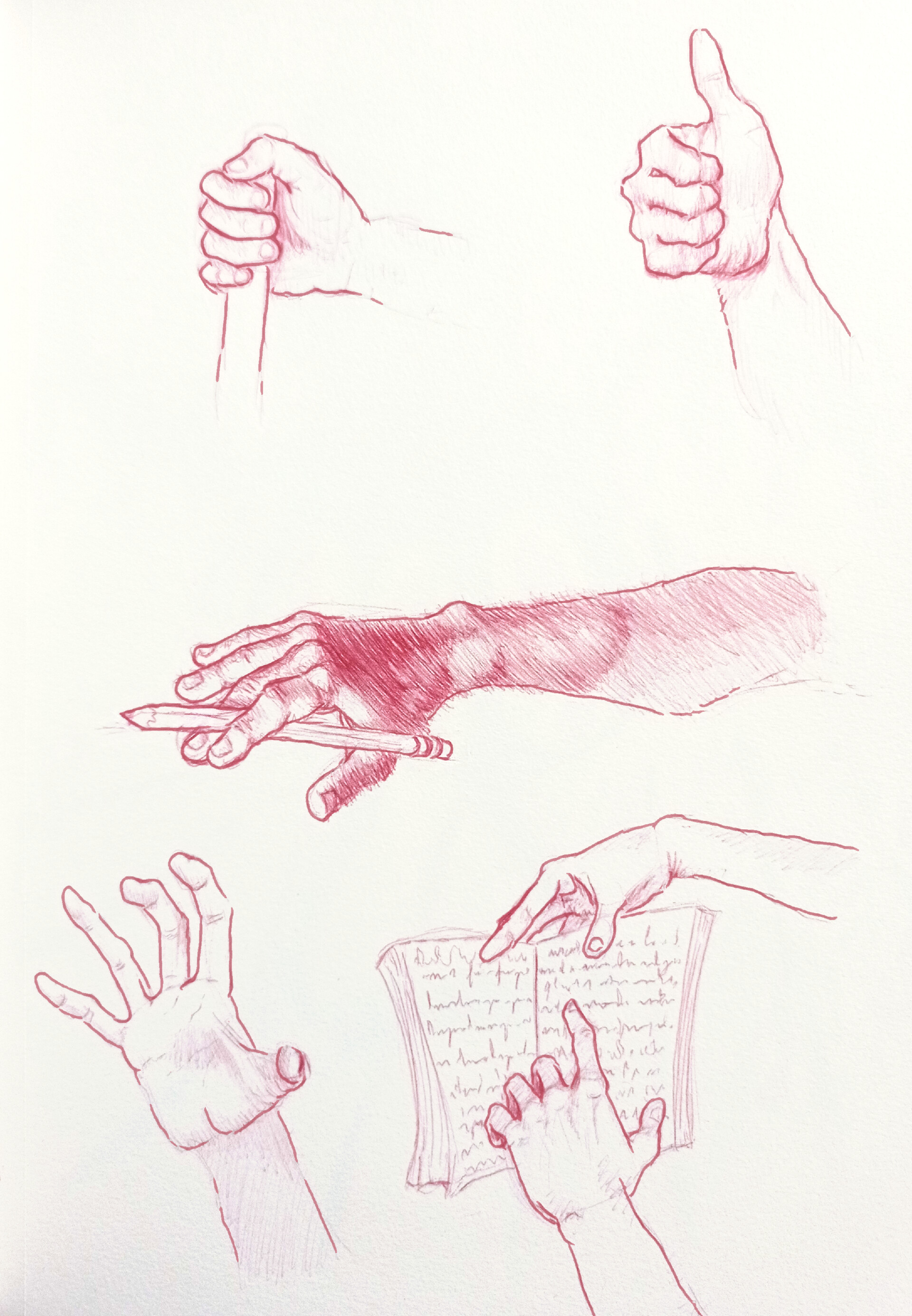 ArtStation - Hand anatomy study