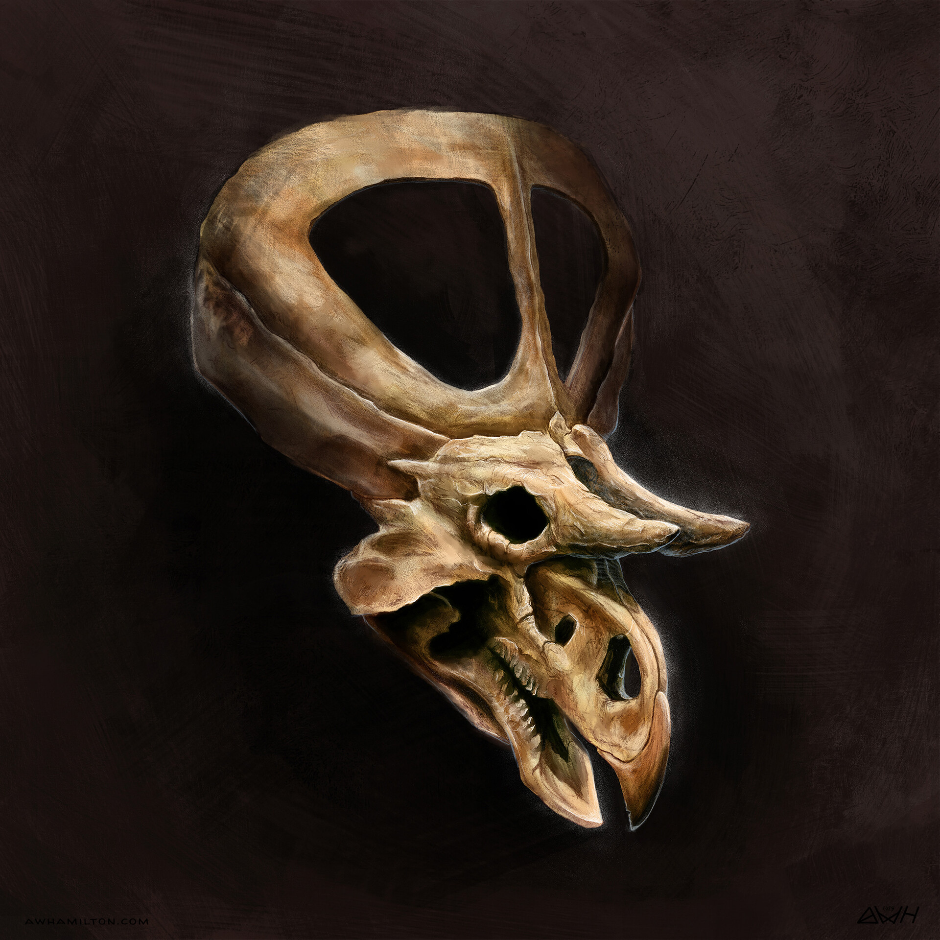 ArtStation - Zuniceratops Skull