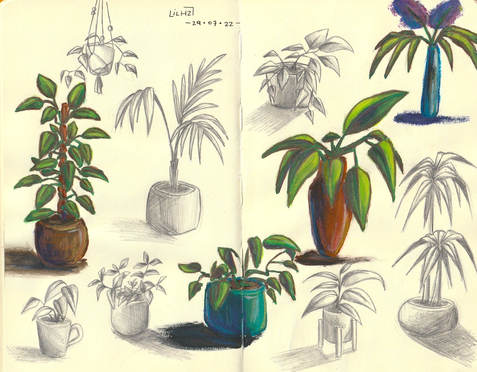 ArtStation - Plant studies