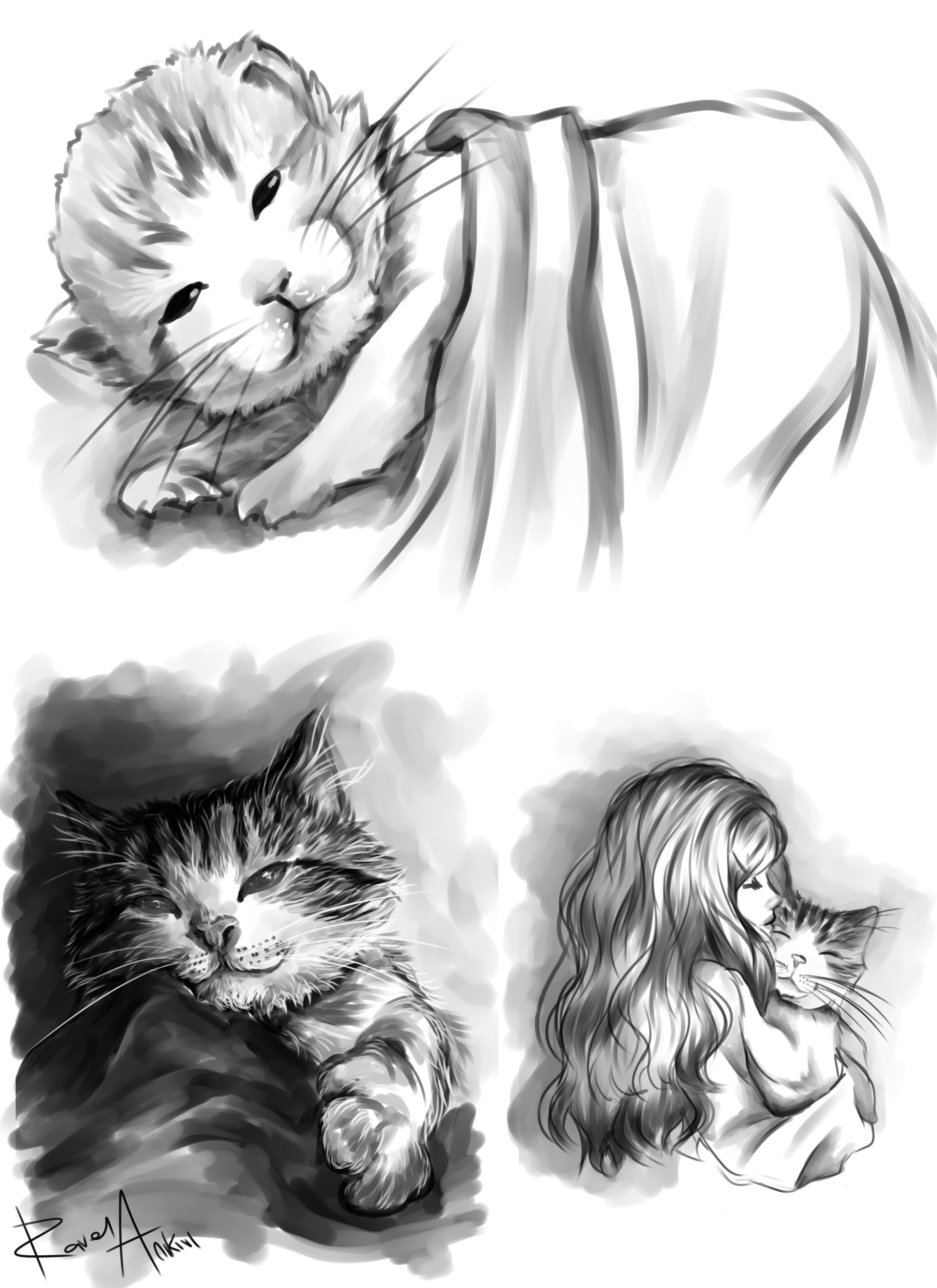 ArtStation - Cats sketch