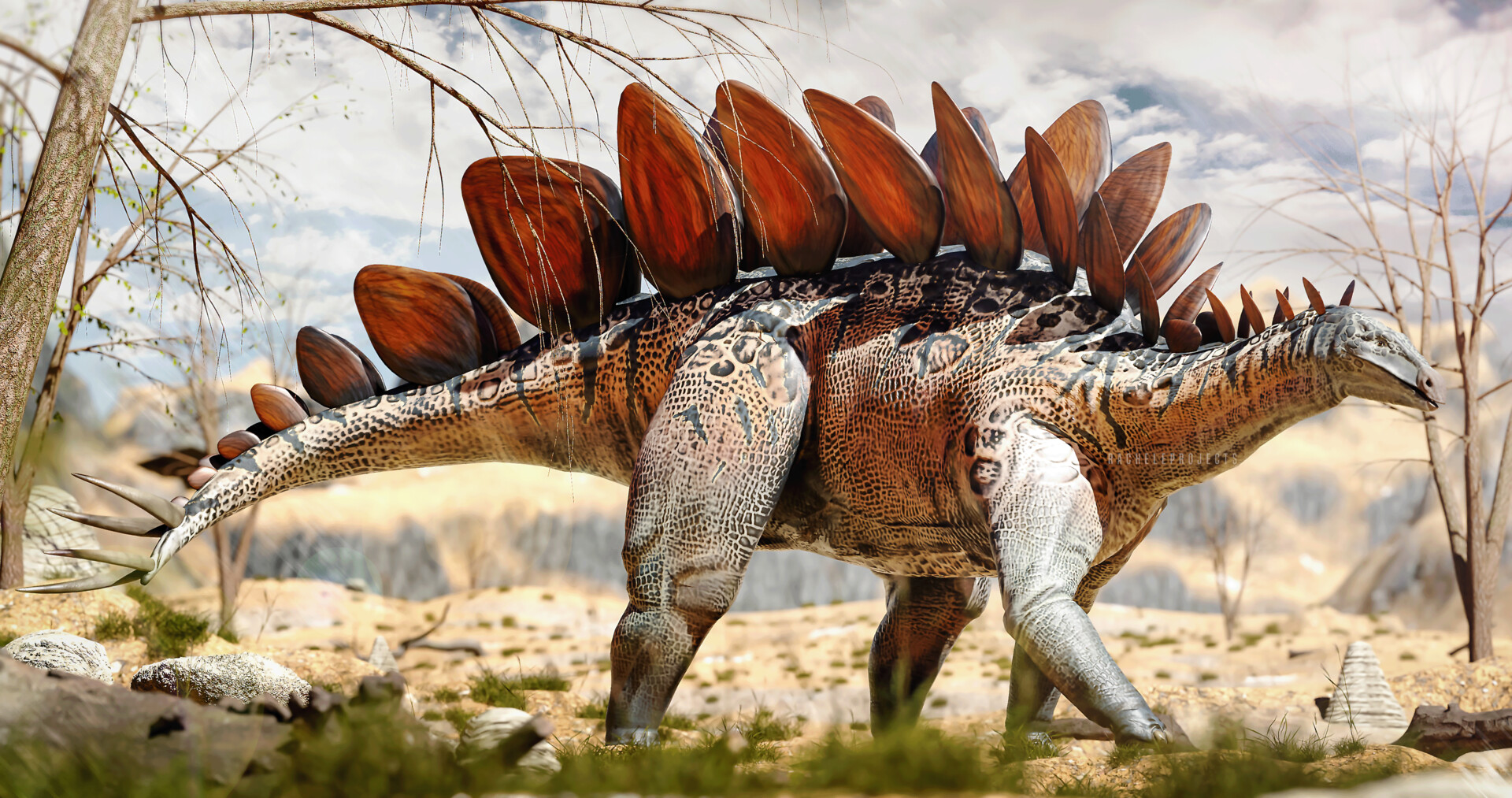 ArtStation - Stegosaurus the "Roof Lizard"