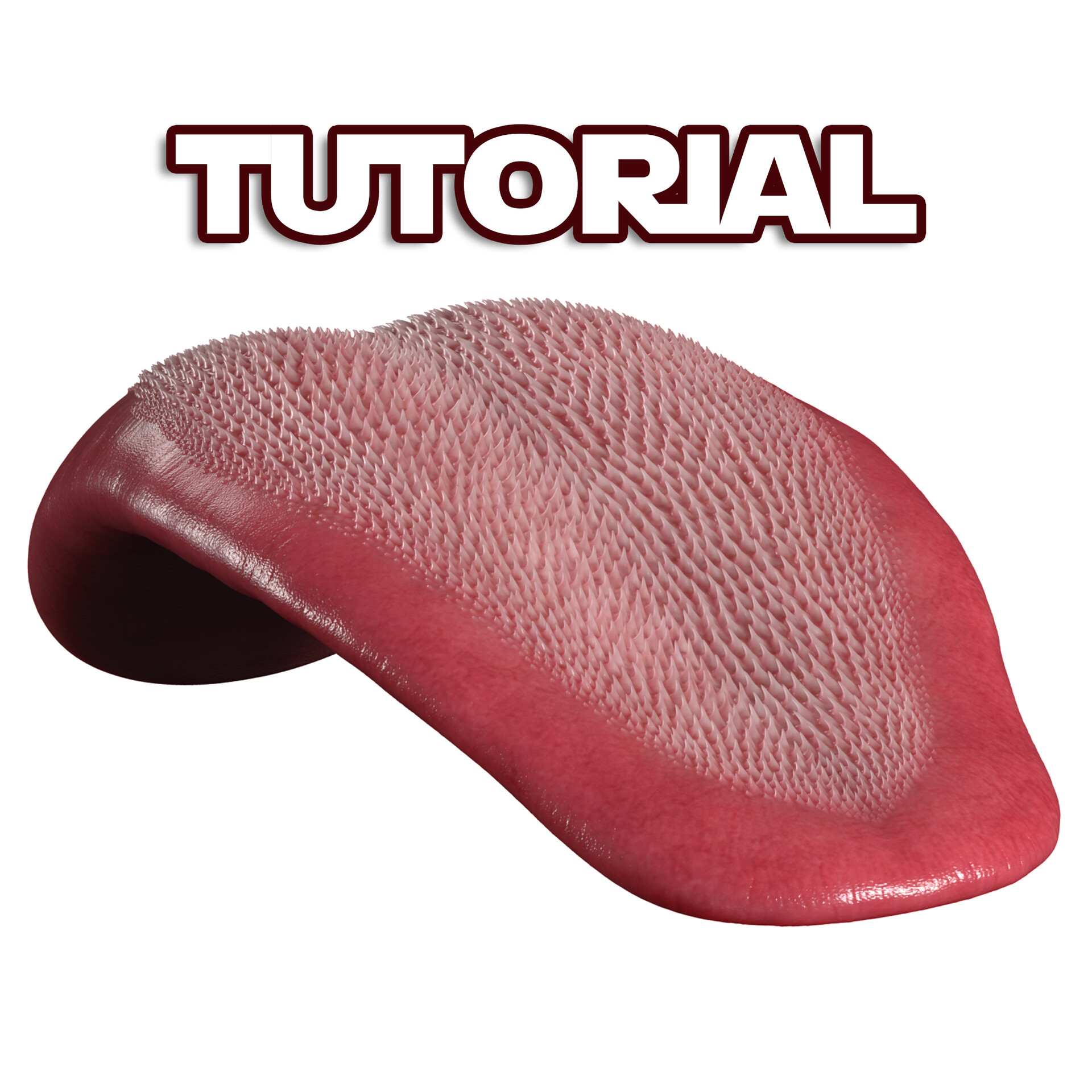 Mudbox Tutorial