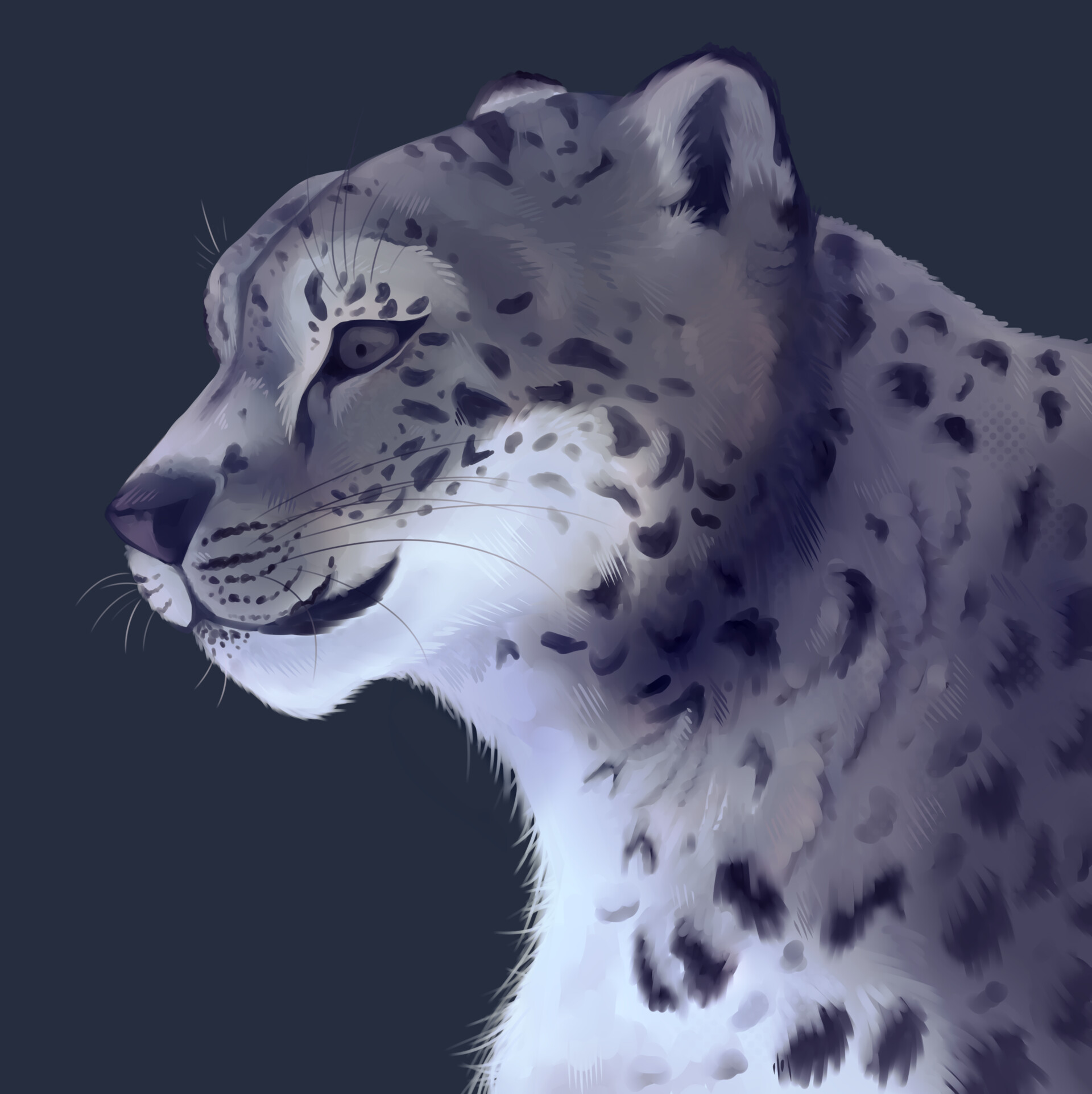 ArtStation - snow leopard