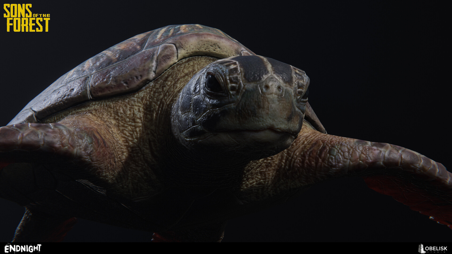 Obelisk Studio - Sons of the Forest - Turtle