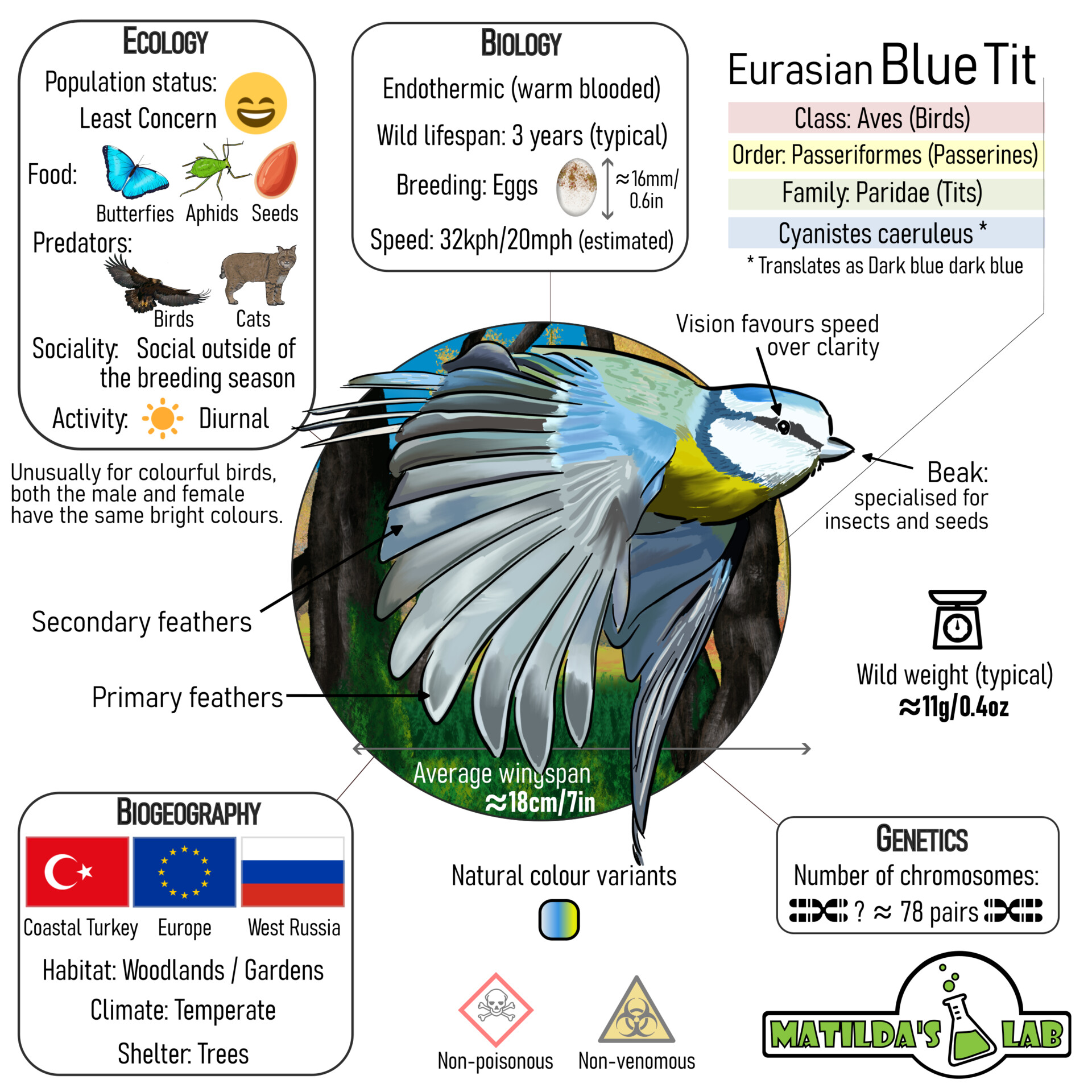 Fact Sheets | Matilda's Lab