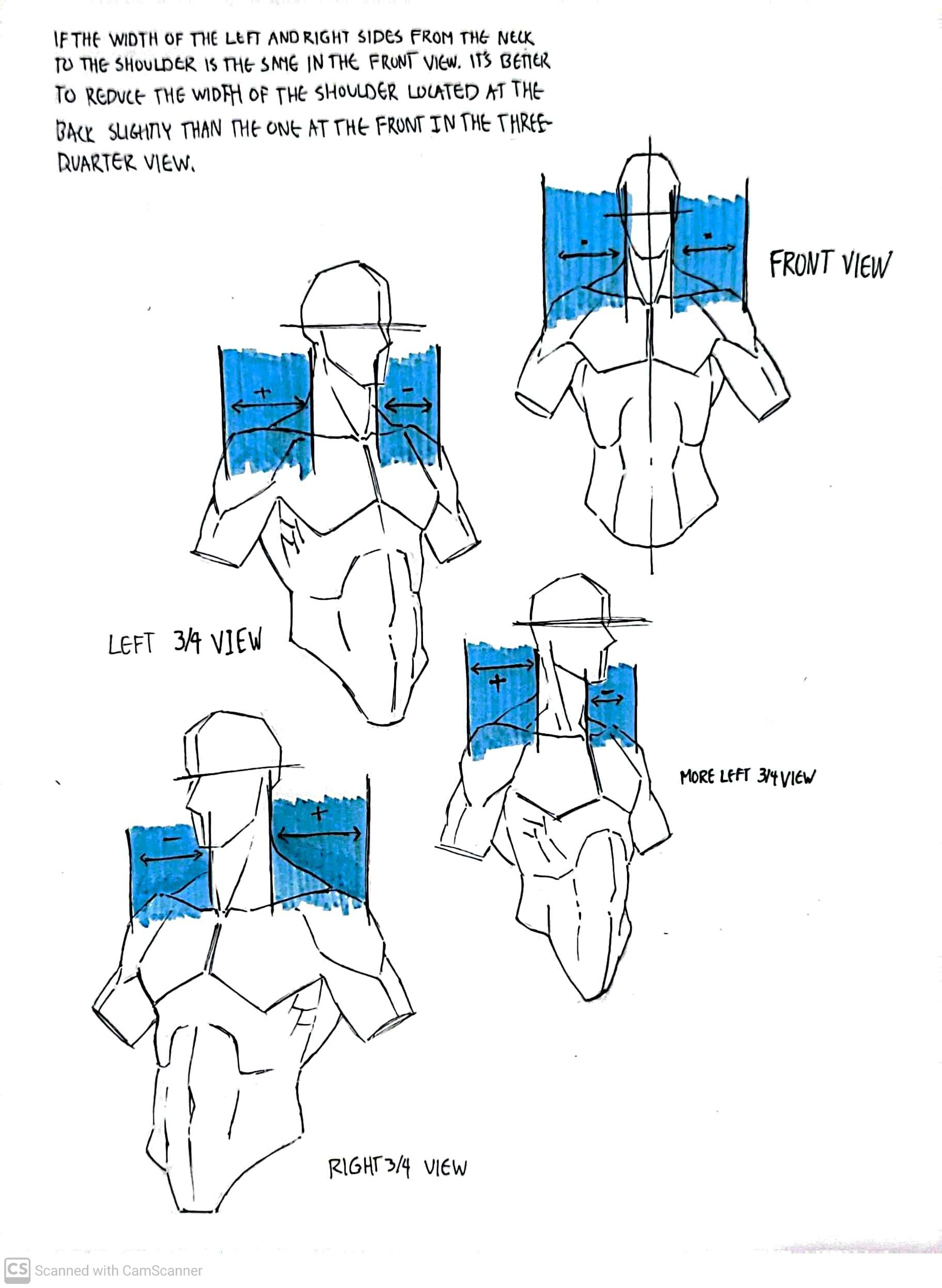 ArtStation - Day 85! Shoulder Practice!