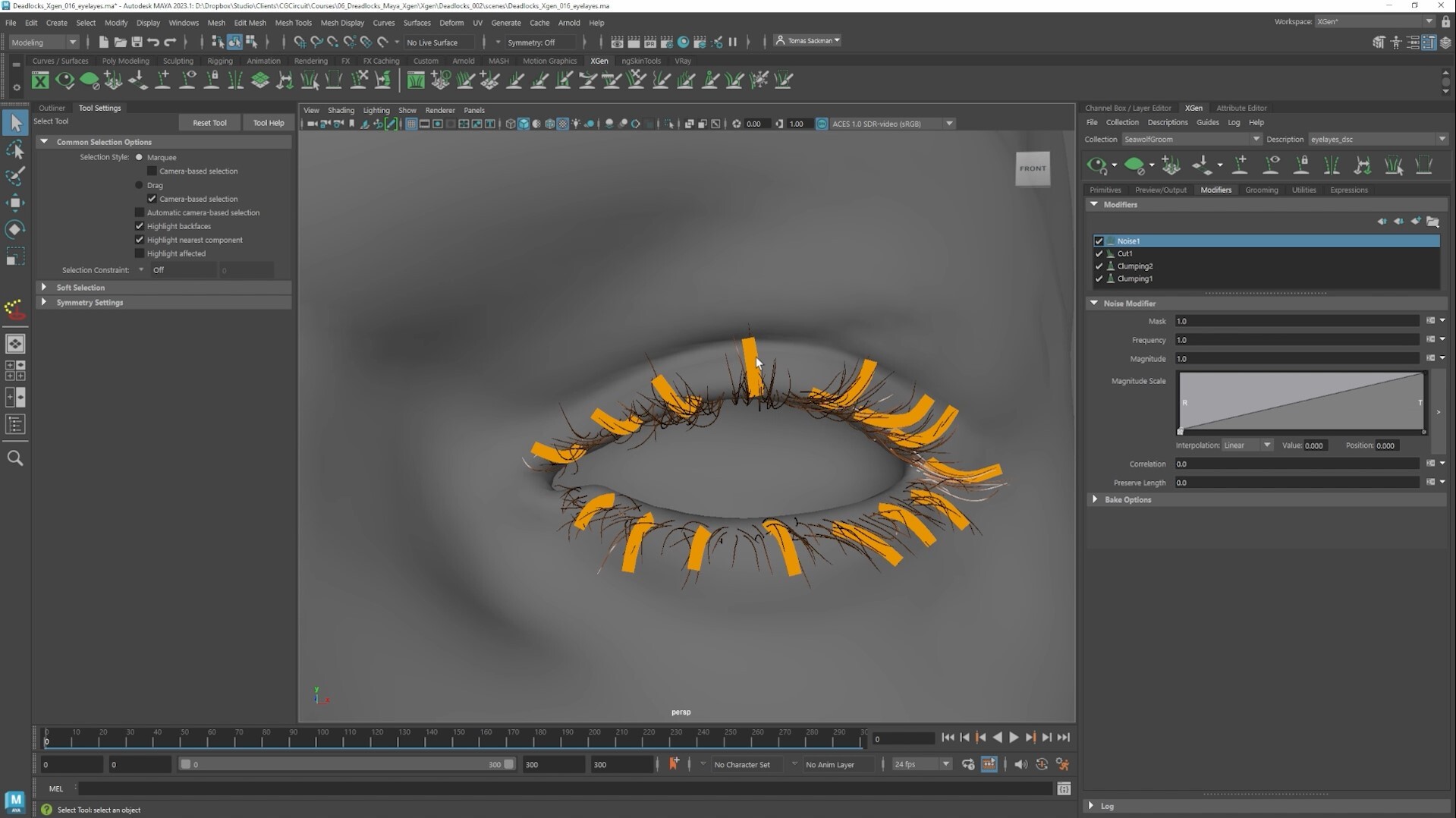 Tomas Sackmann - Realistic Dreadlocks in Xgen / Character Grooming Course