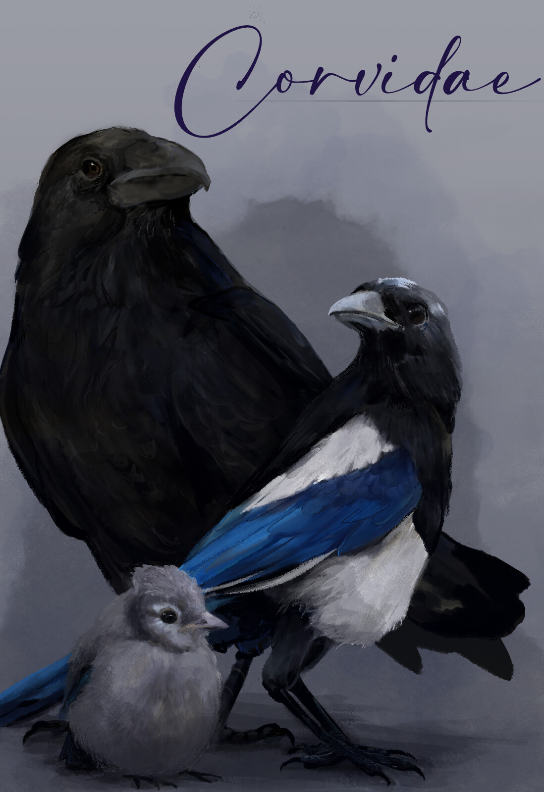 ArtStation - Corvid Poster