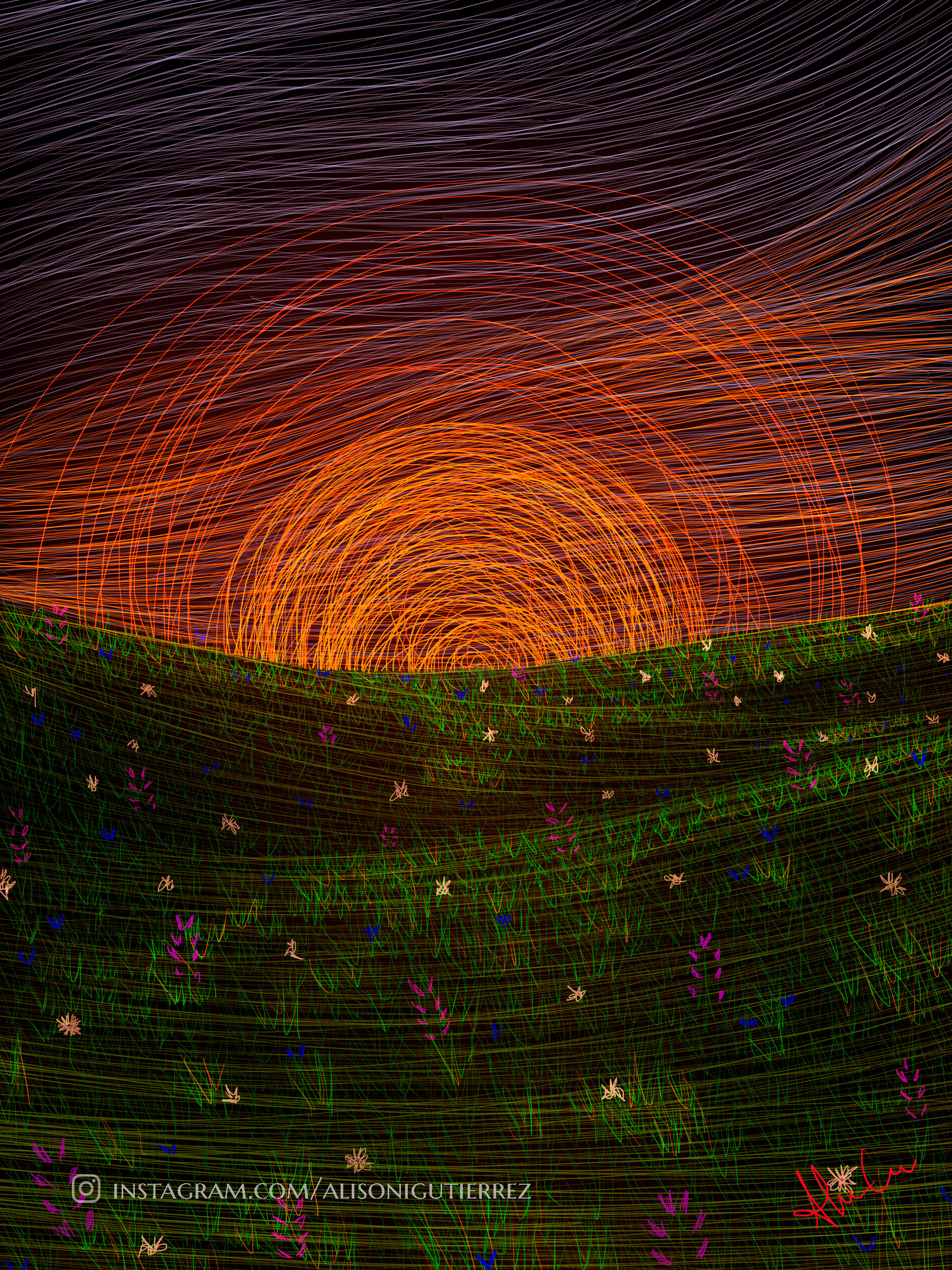 Alison Gutiérrez - Puesta de Sol en el Campo