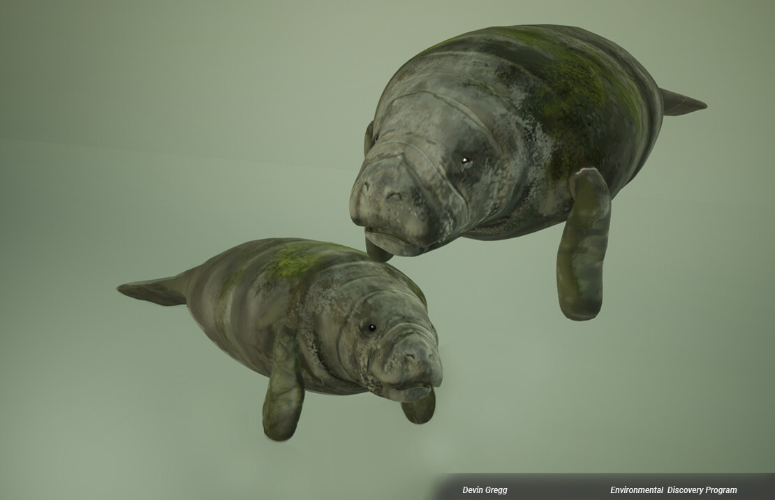 ArtStation - 3D Manatees