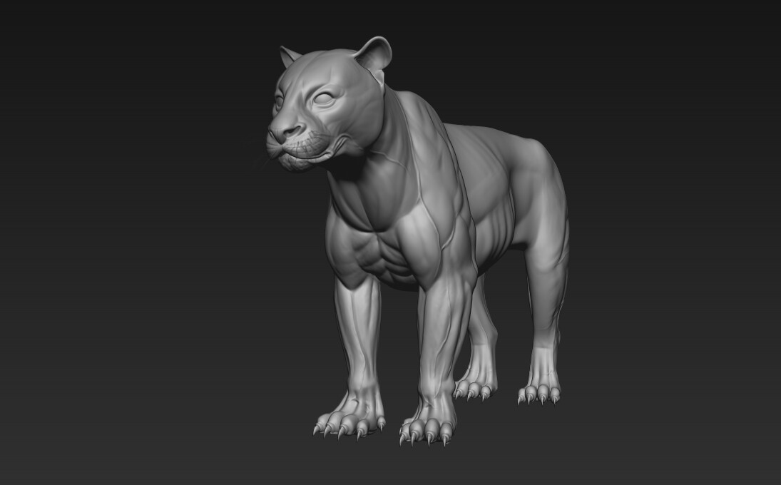 ArtStation - Tiger-anatomy sculpt
