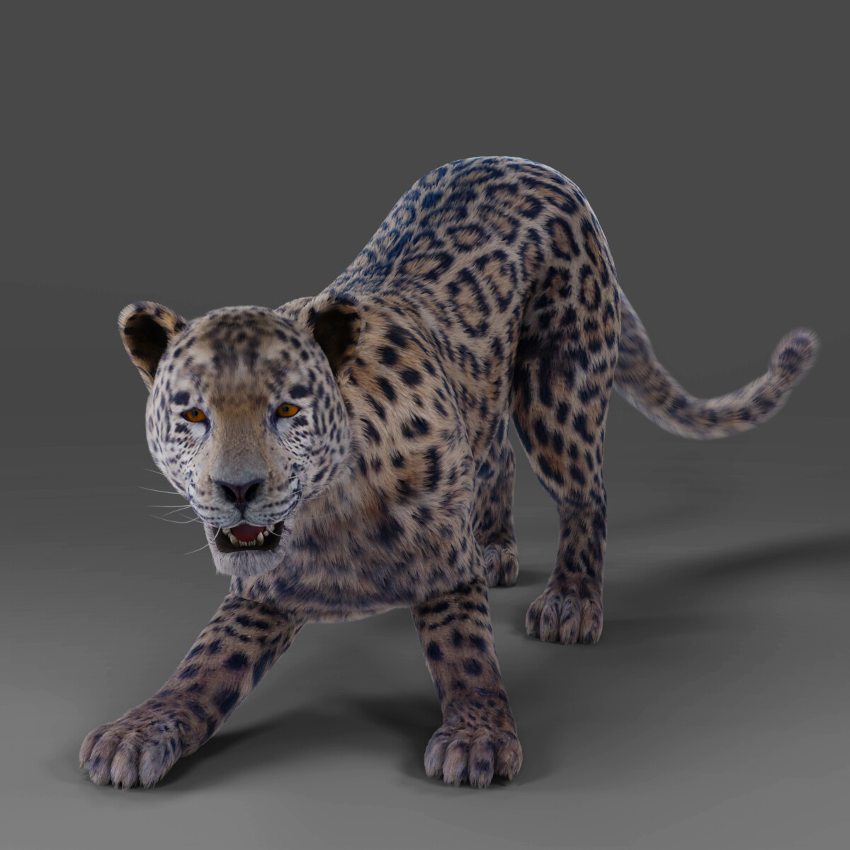 ArtStation - Fur Jaguar V01 Rigged and Animation in Blender