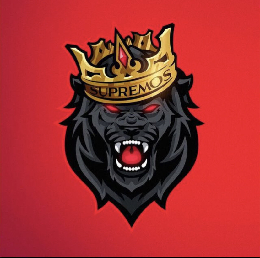ArtStation - Team supremos