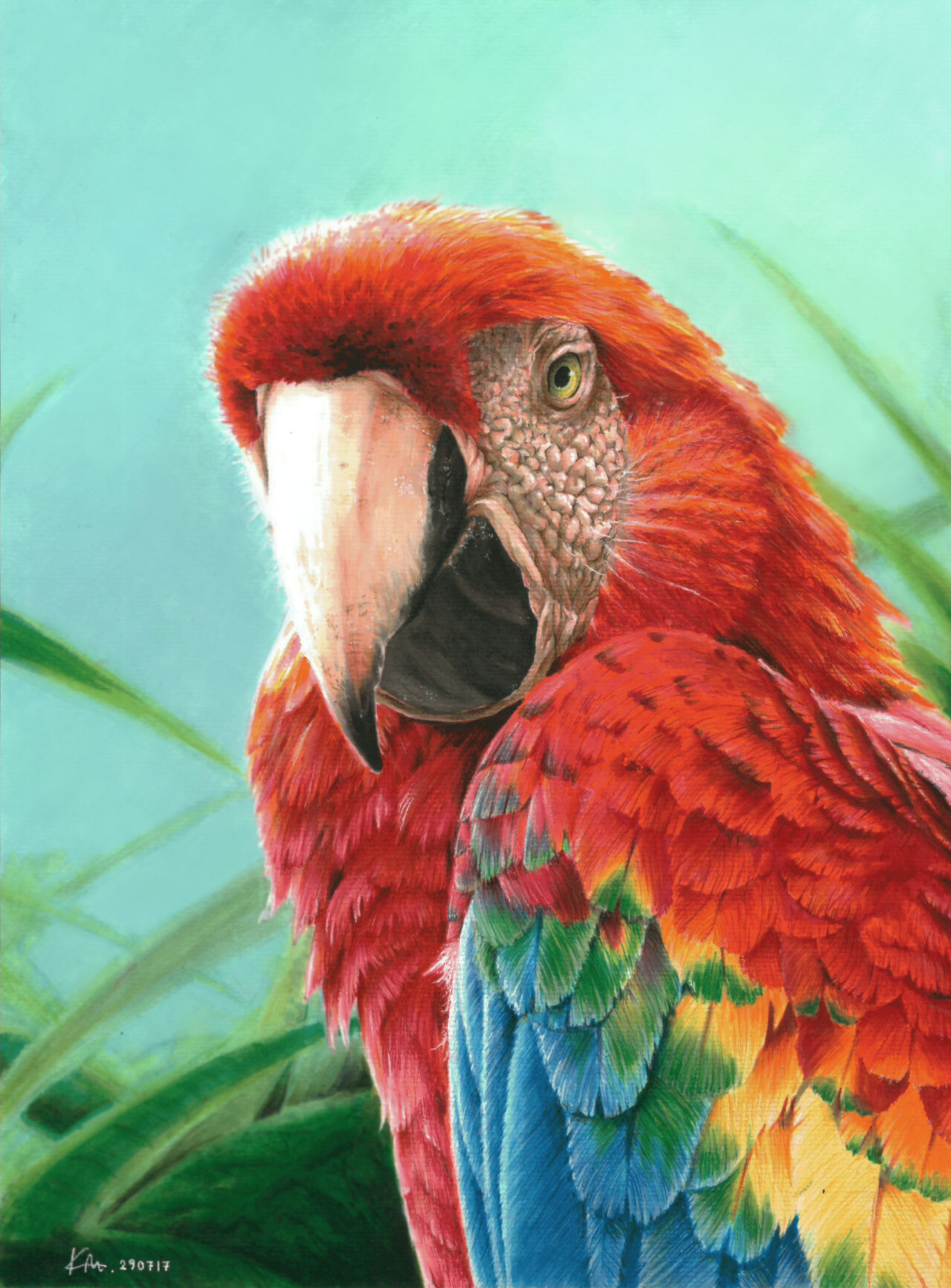 Macaw Painting
