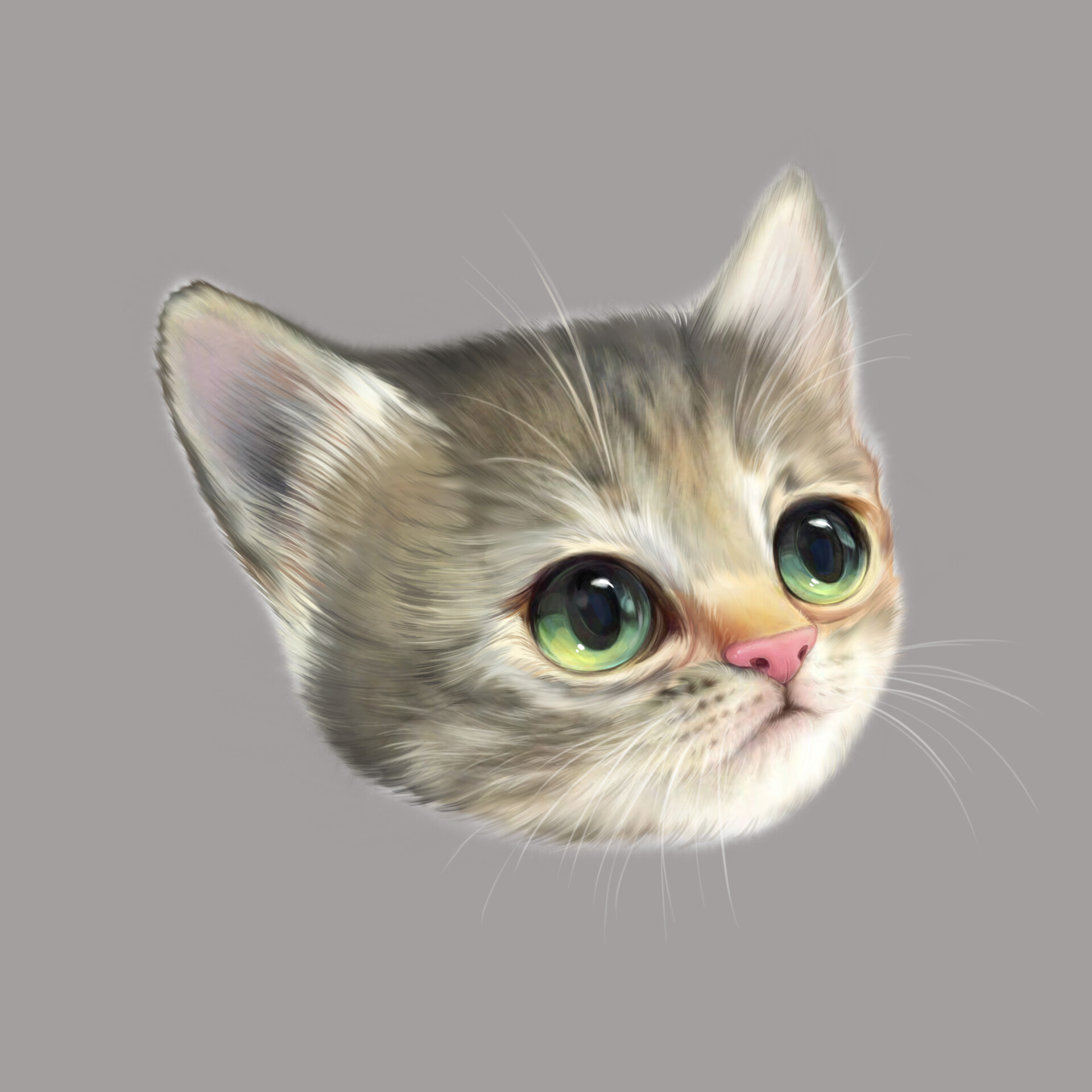 ArtStation - Kitten