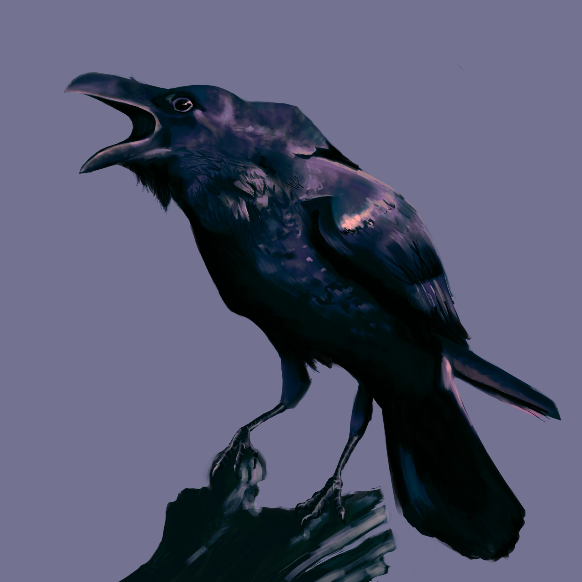 ArtStation - Raven