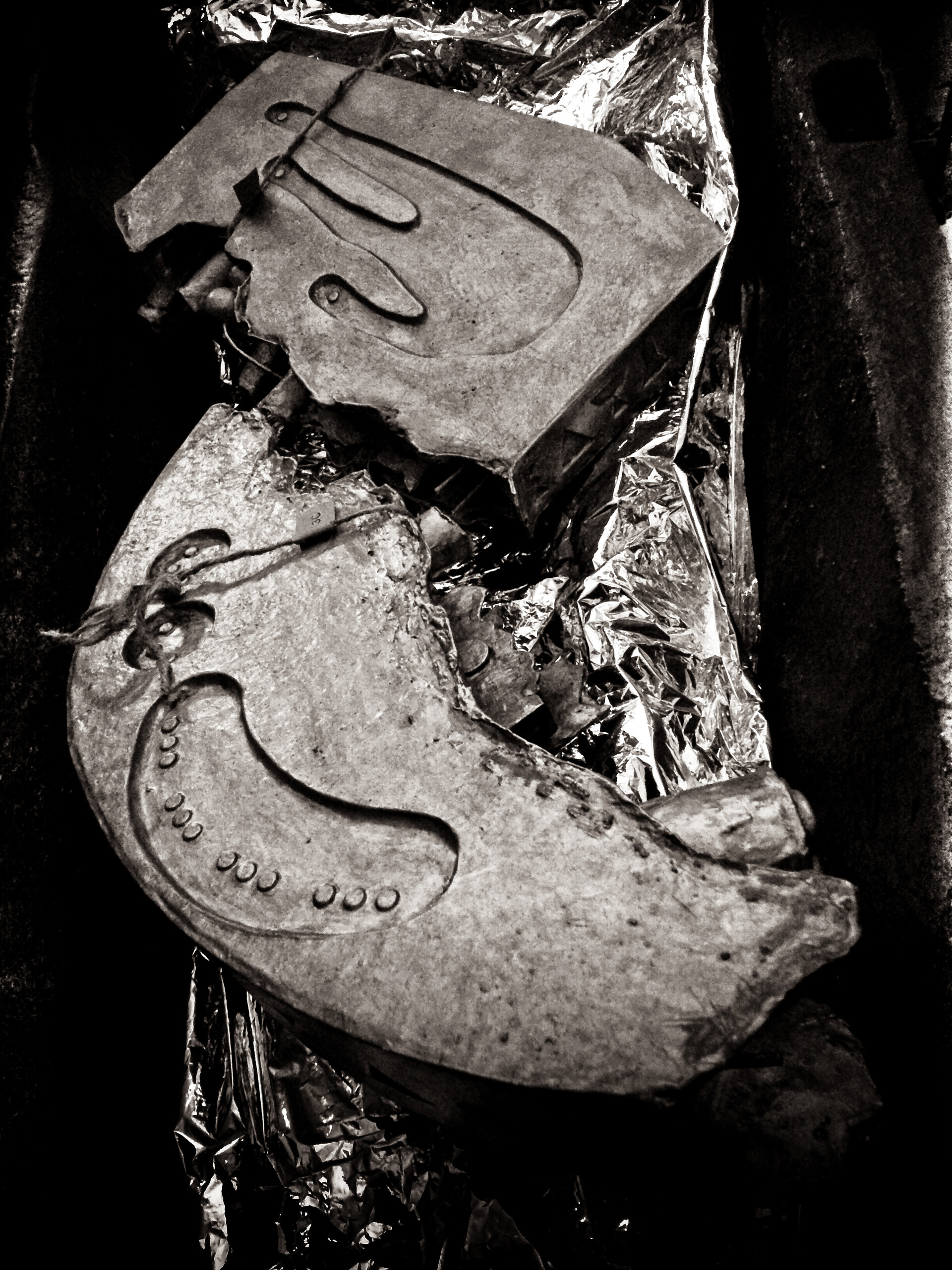 Michael Knight - Photos of the Alien Mummy Project