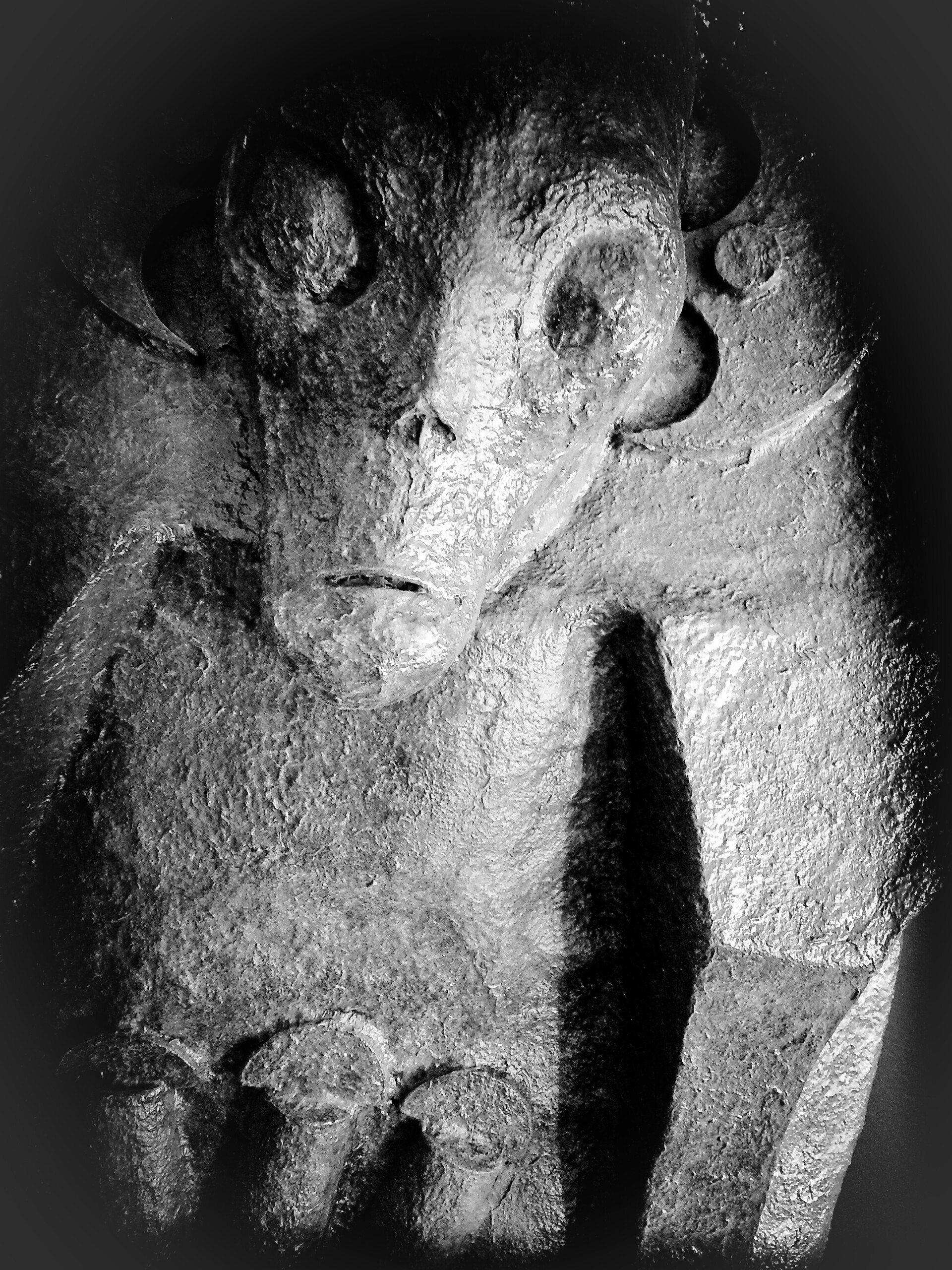 Michael Knight - Photos of the Alien Mummy Project