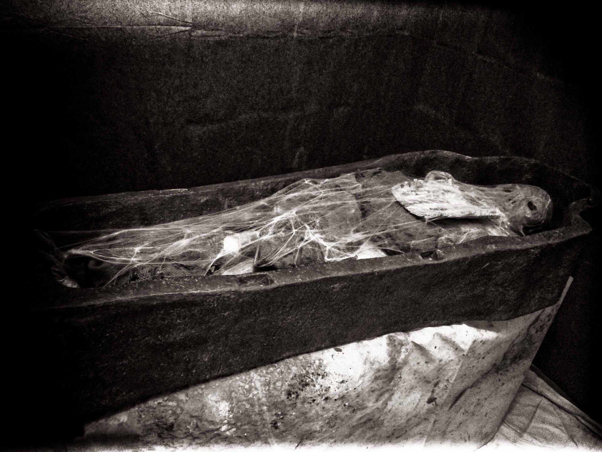 Michael Knight - Photos of the Alien Mummy Project